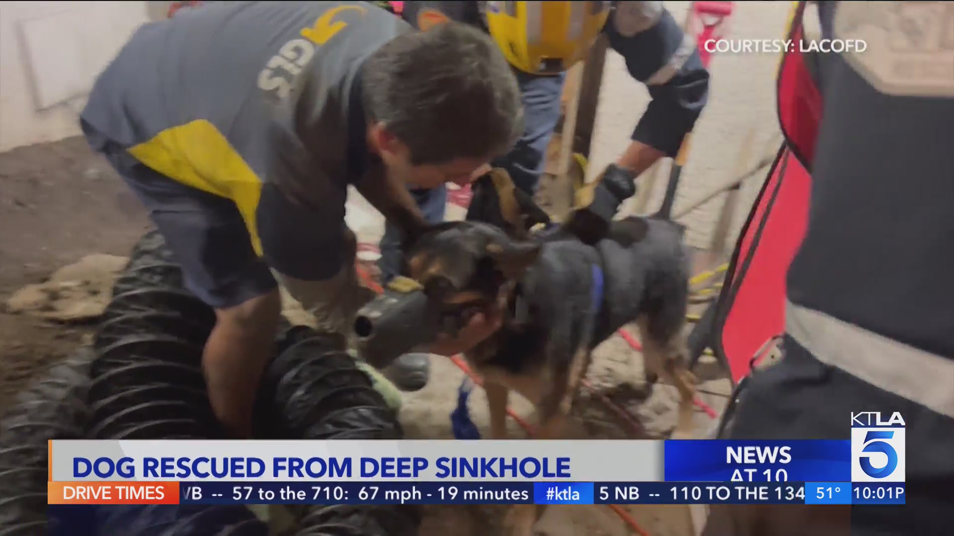 Crews rescue dog trapped in deep sinkhole behind Willowbrook home – KTLA