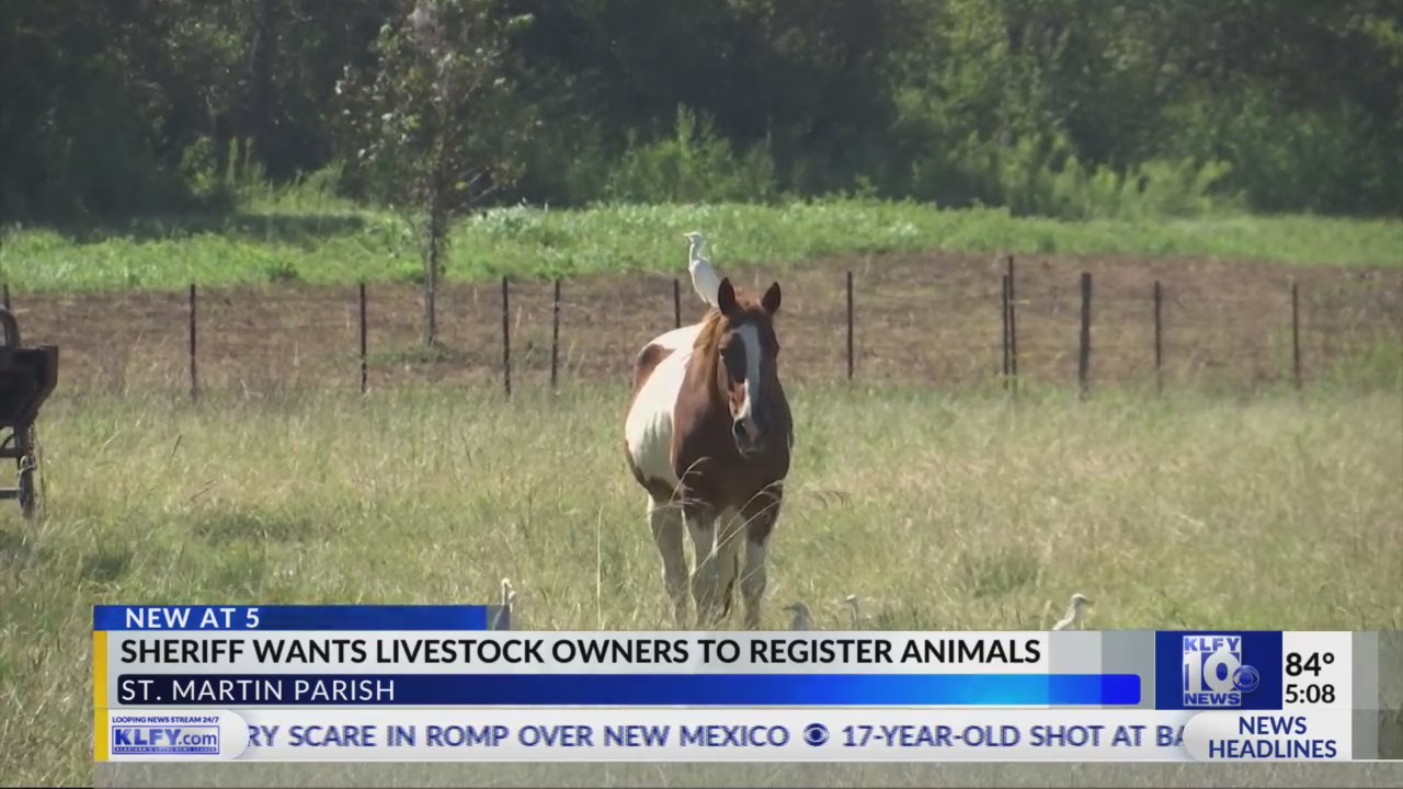 Sheriff wants livestock owners to register animals – KLFY.com