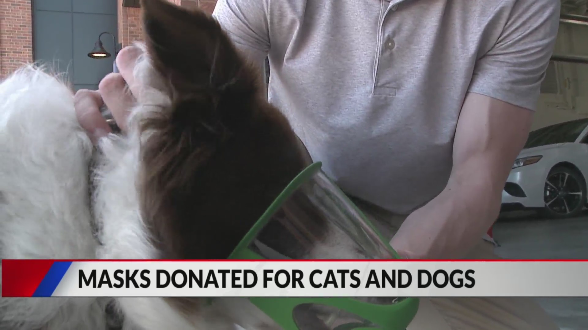 Denver Fire Department receives oxygen masks for pets – FOX31 Denver