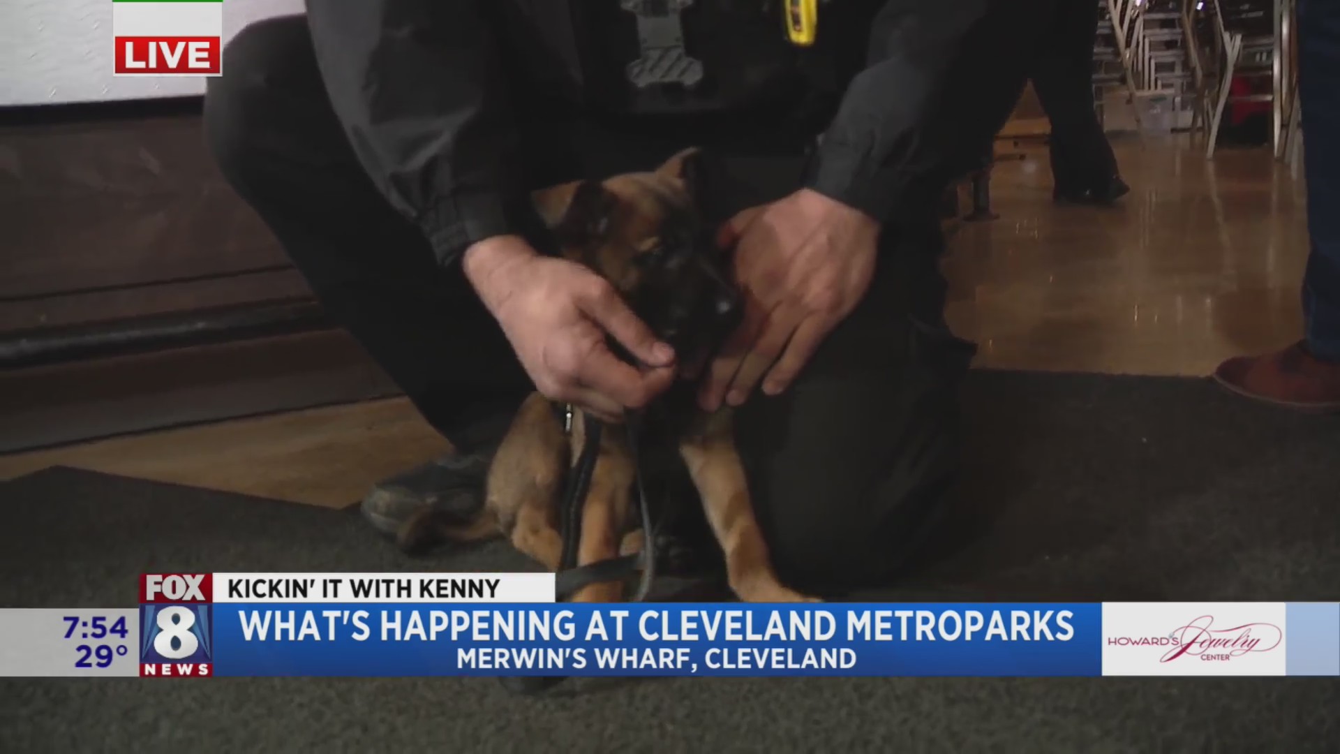 Say hello to the new K9 puppies at Cleveland Metroparks – Fox 8 ...