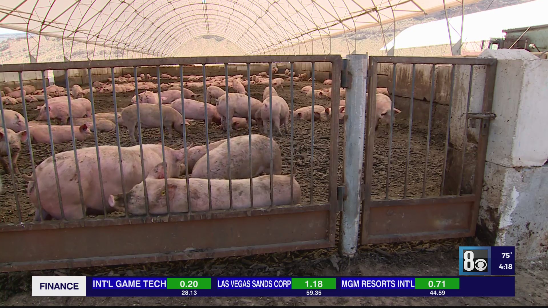 Las Vegas family-run business reduces food waste by turning food scraps ...