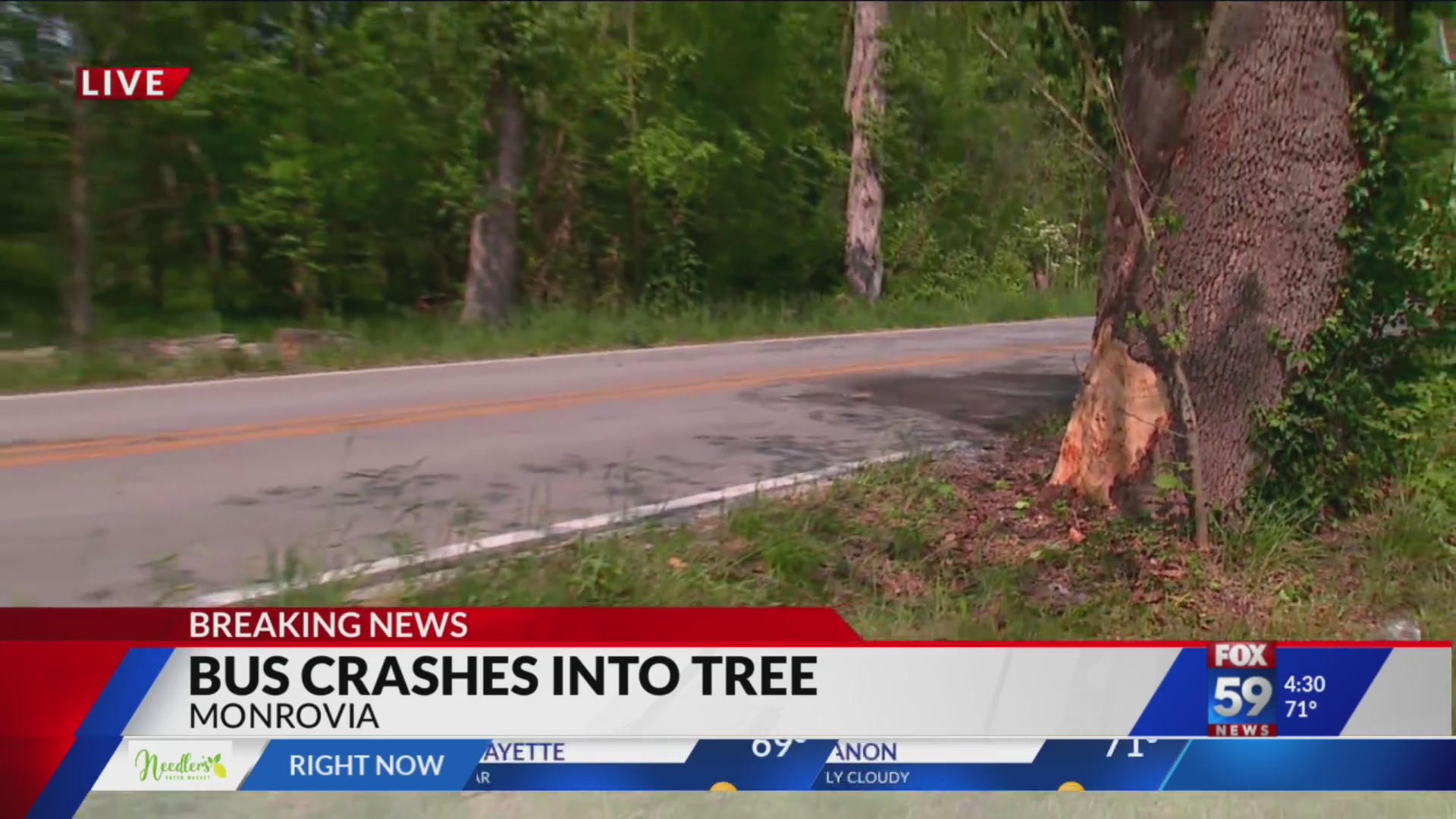 School bus transporting kids strikes tree near Monrovia – Fox 59