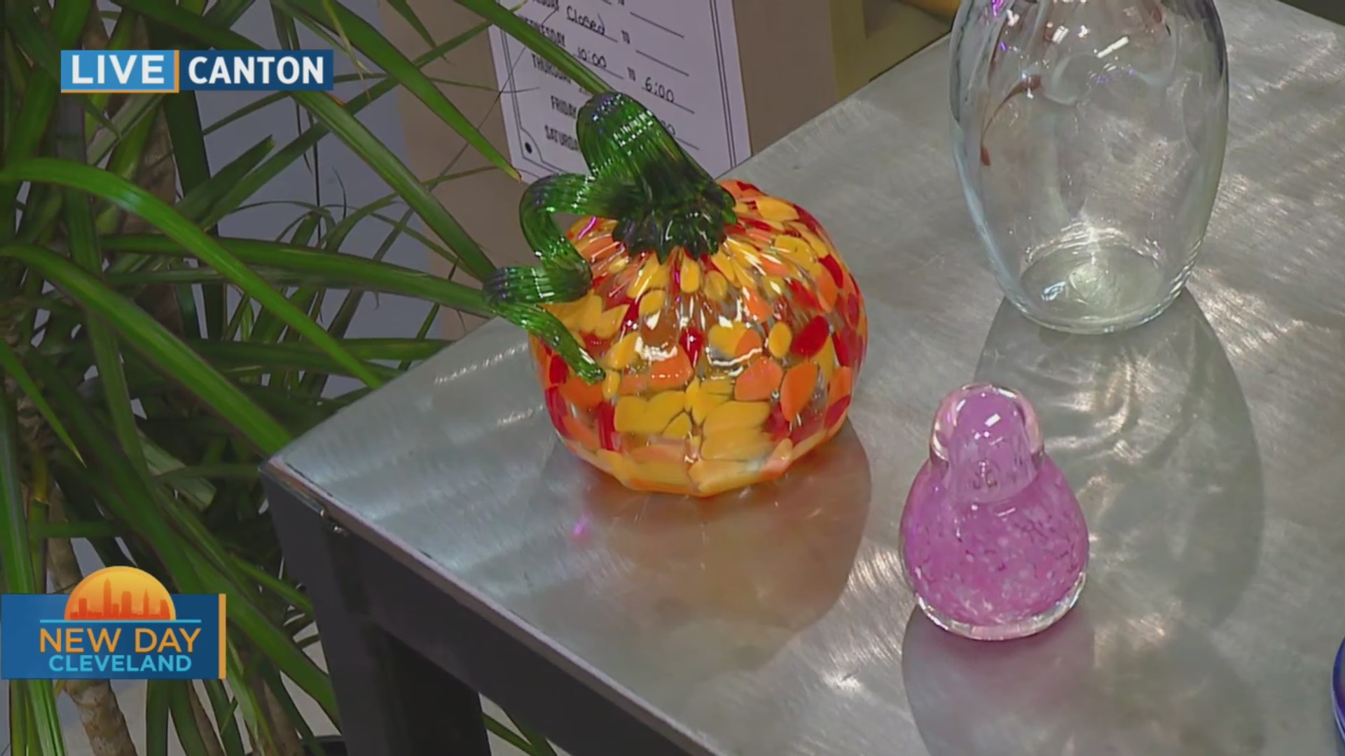 New Day Cleveland: Glass Garden of Canton – Fox 8 Cleveland WJW