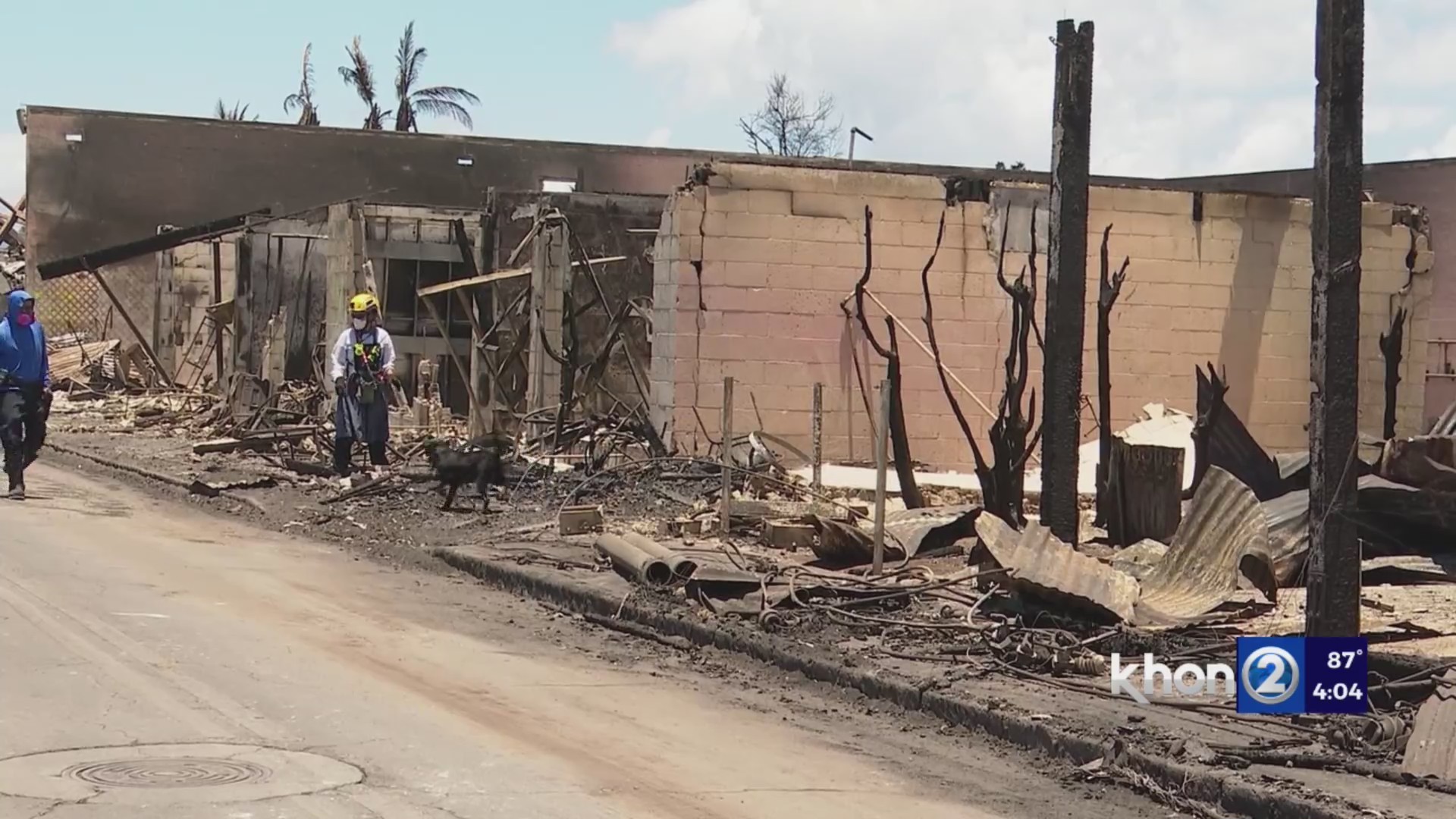 Cleanup phase begins in Lahaina – KHON2