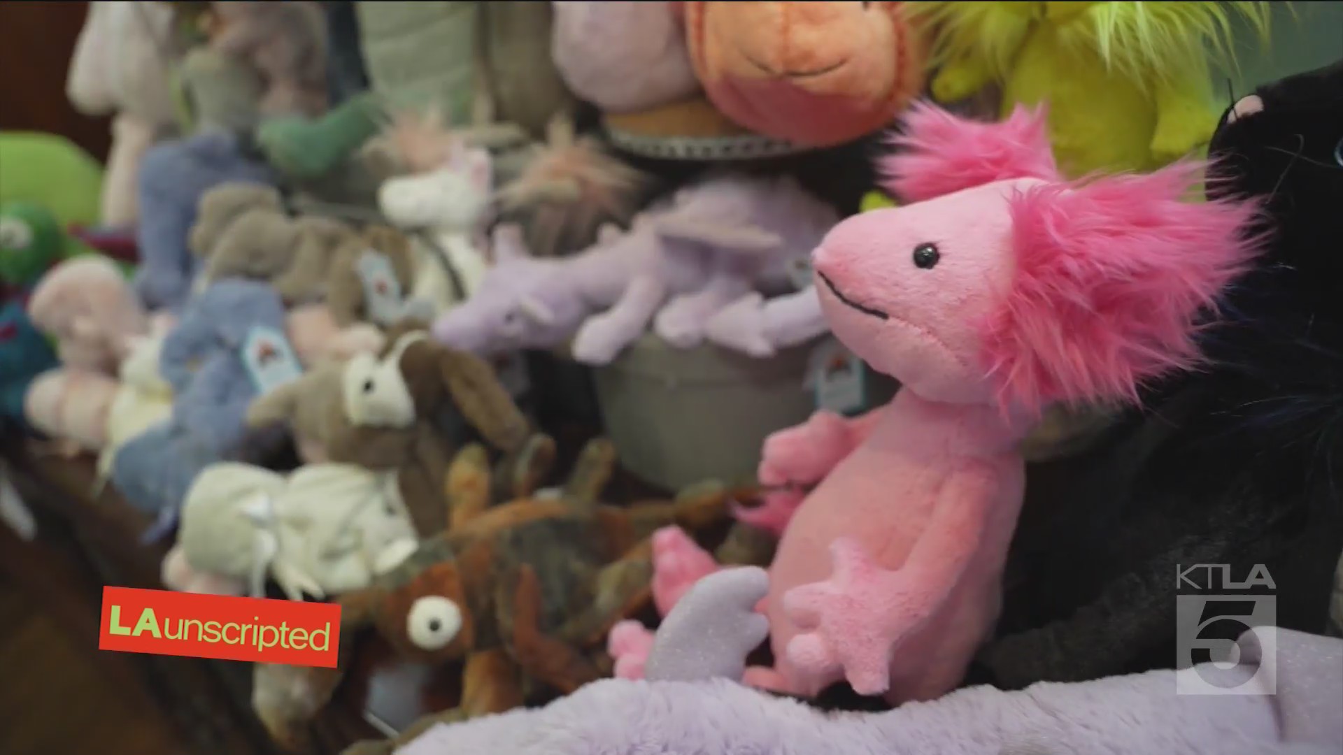 Think Big, Shop Small: Restrained Whimsy – KTLA