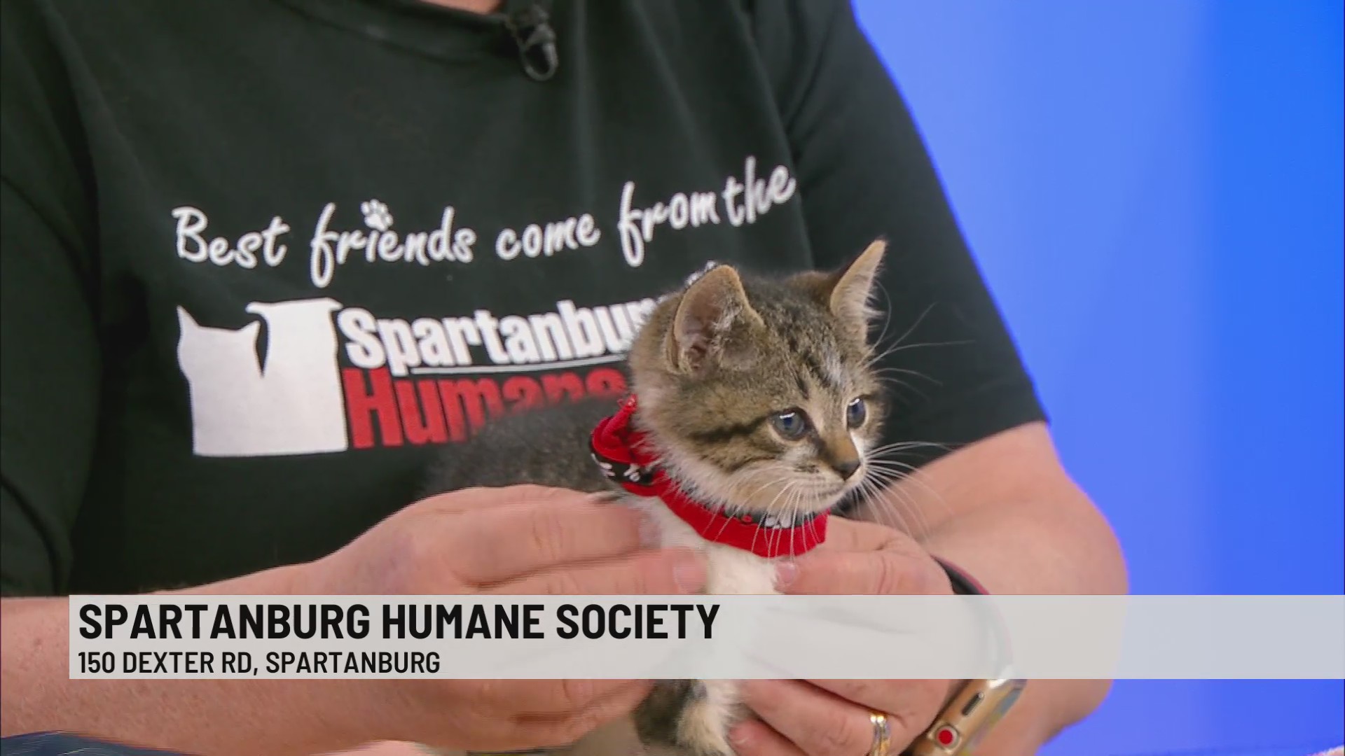 Pet of the Week: Jack – WSPA 7NEWS