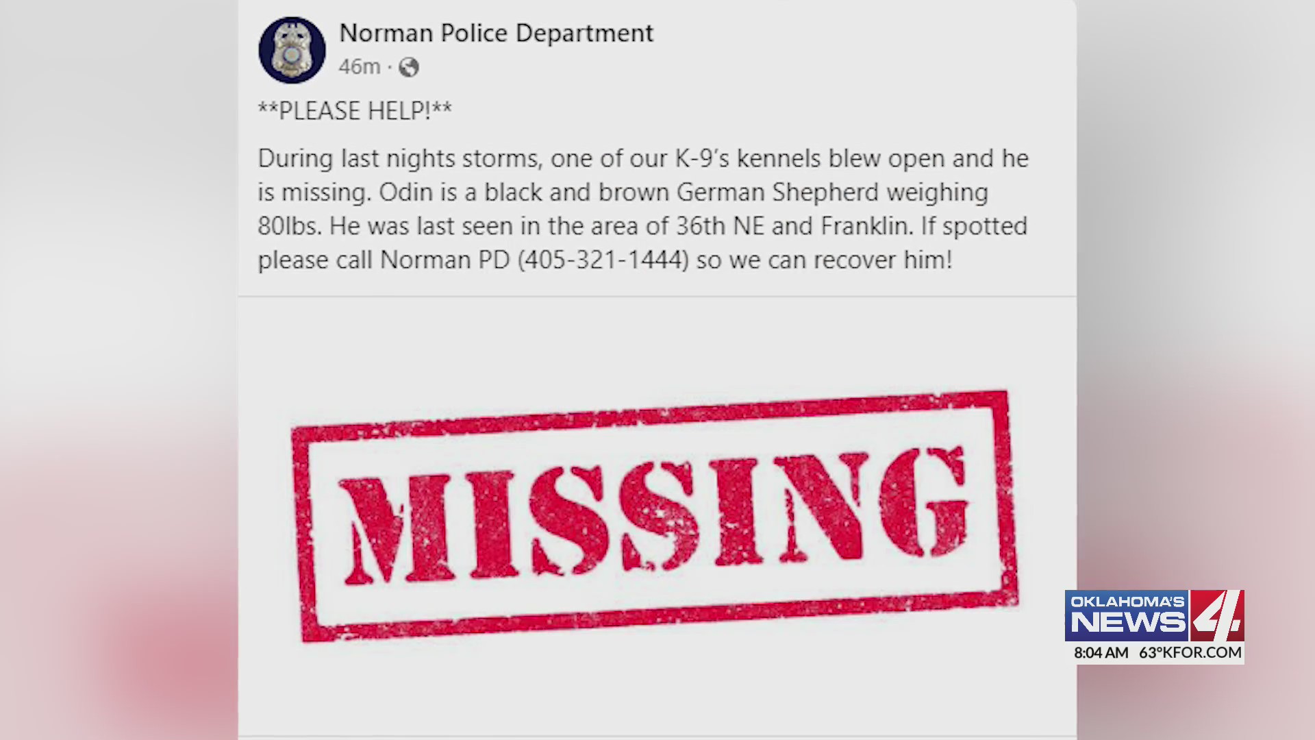 Norman PD Missing K9 after storms damage kennel – KFOR.com Oklahoma City