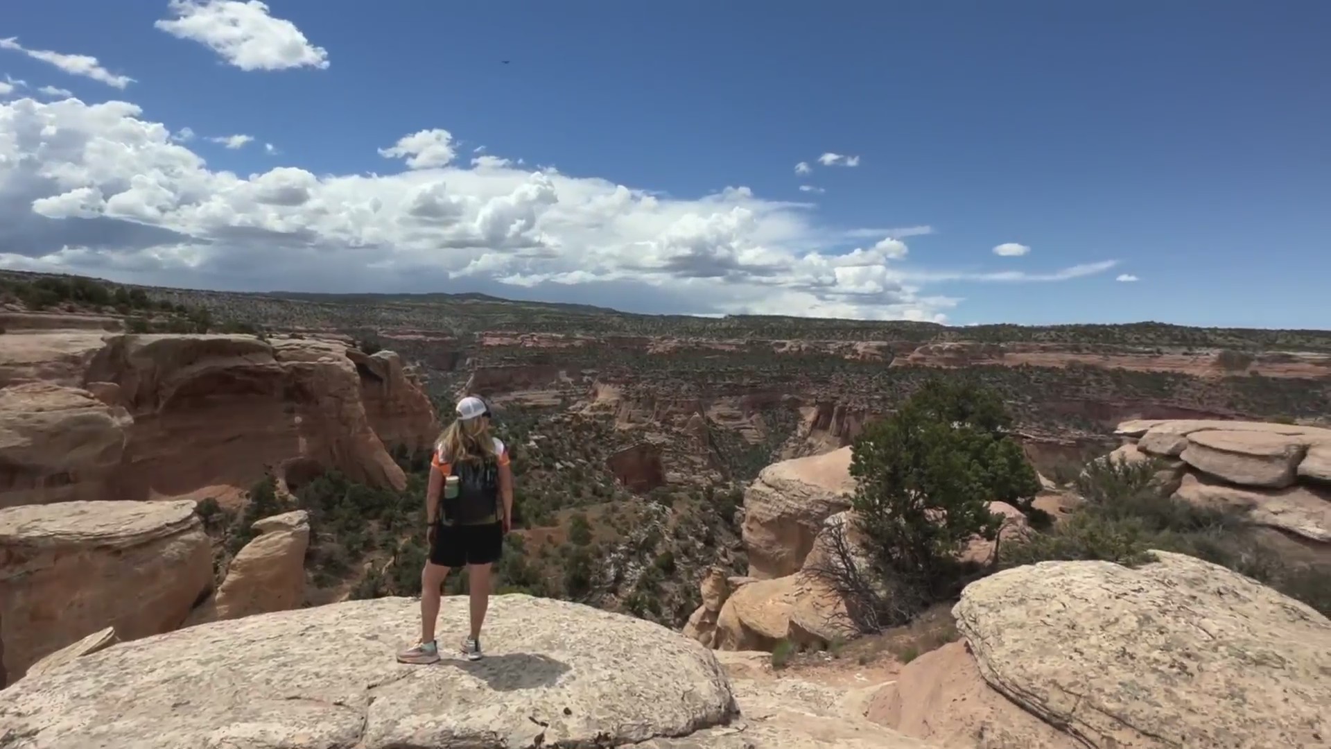 Visiting Colorado National Monument with Jennifer Broom – FOX31 Denver