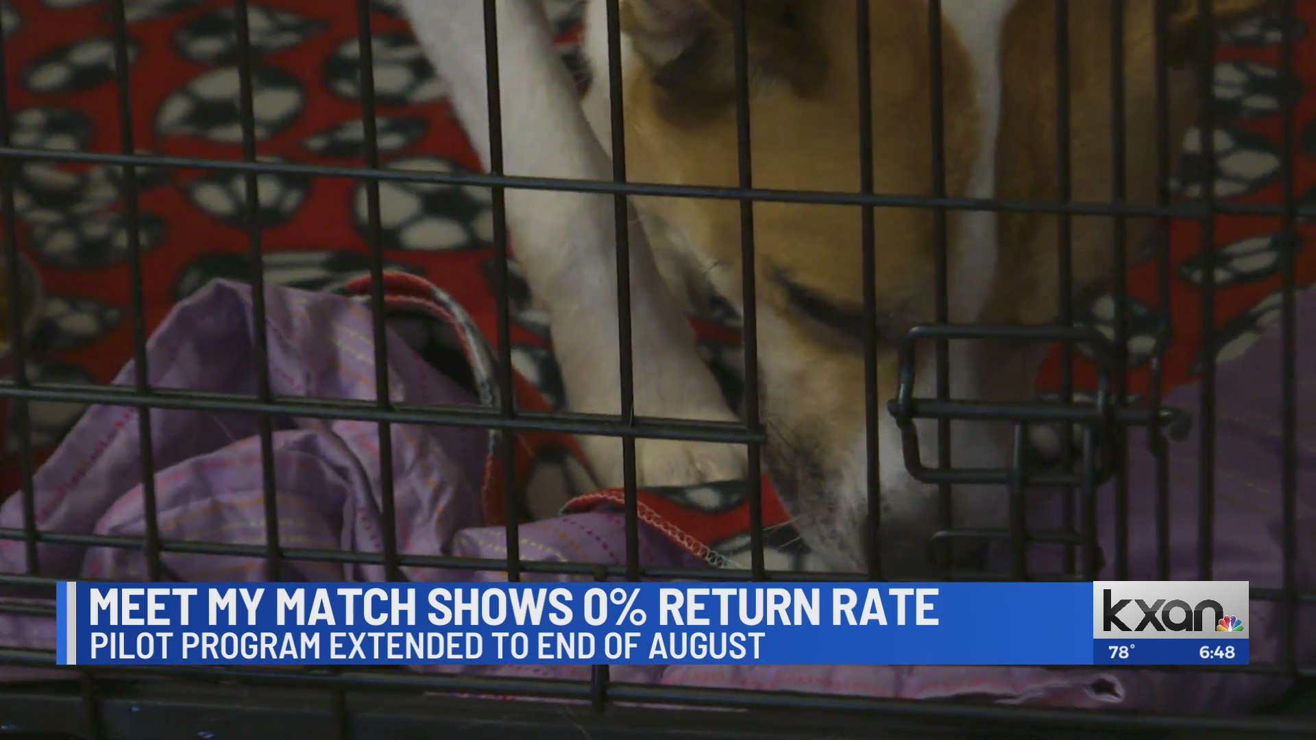 Austin Animal Center extends pilot program, sees some success with new ...