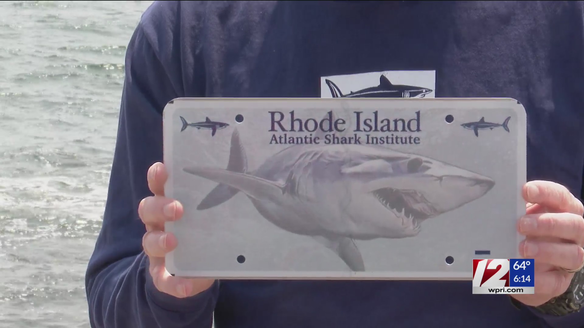 Shark license plate is fastest-selling charity design in RI history ...