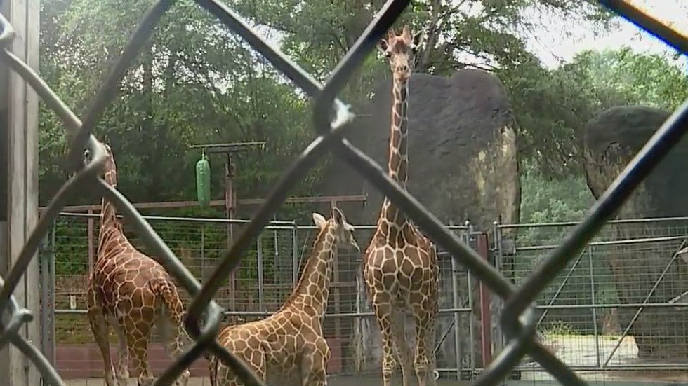 Checking in with Baby Fenn! – FOX8 WGHP