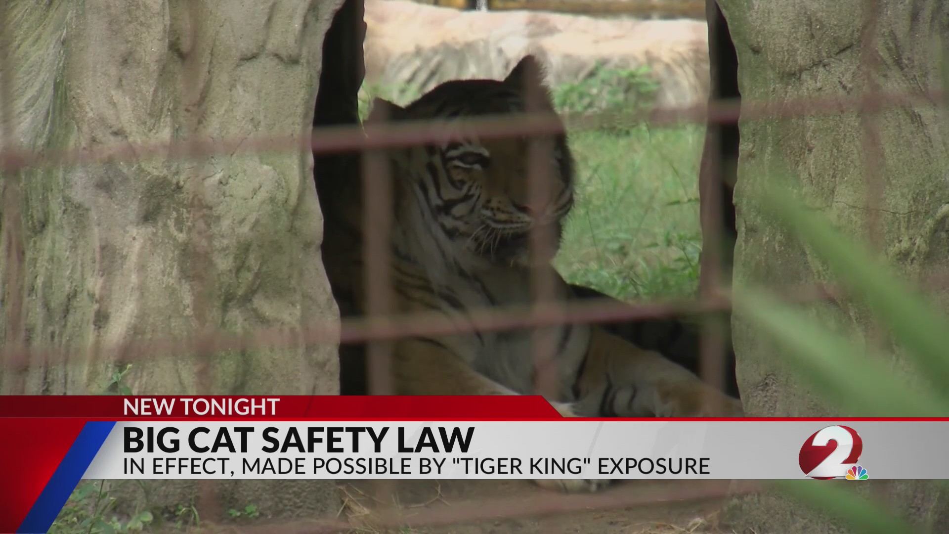 Big Cat Safety Act goes into effect – WDTN.com