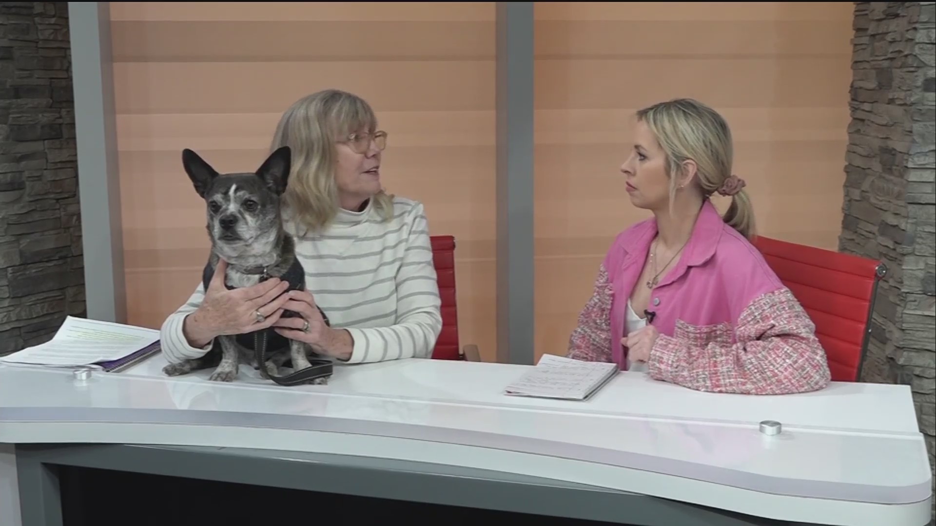 304 Today: Dog Ordinance with Robin Keough – WBOY.com