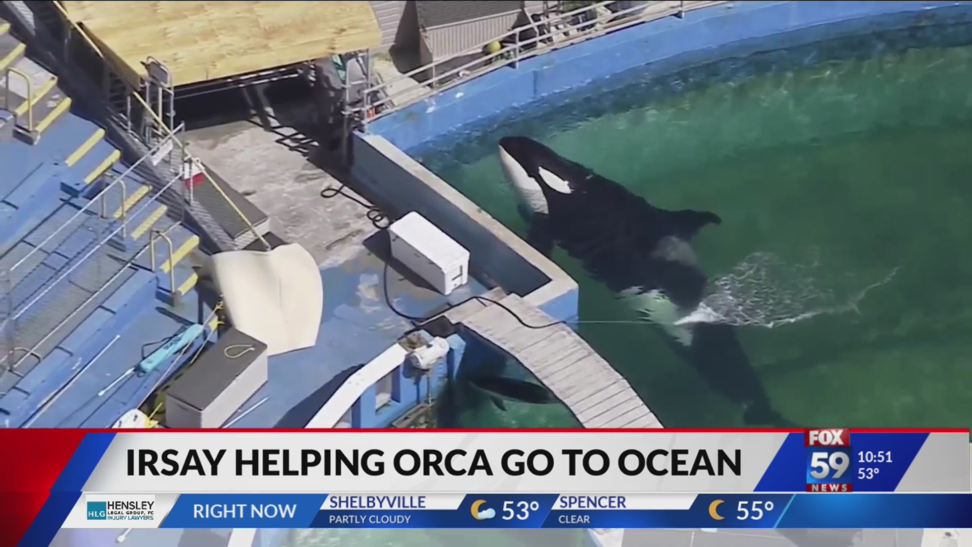 Jim Irsay helping orca return to the ocean – Fox 59