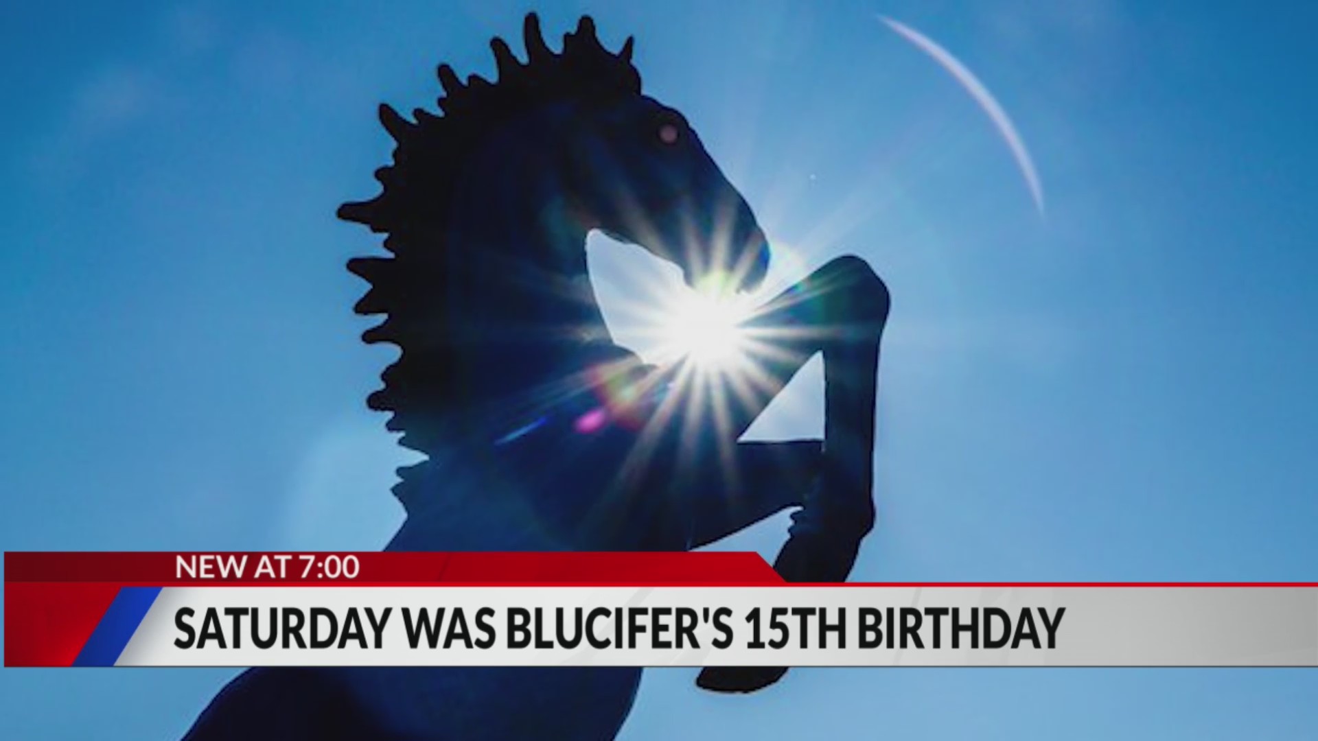 Happy birthday, Blucifer – FOX31 Denver
