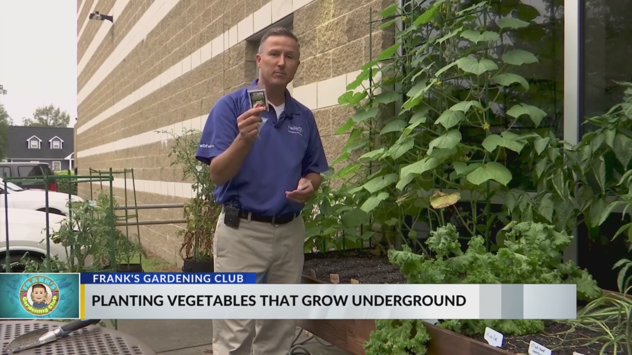 Planting fall root vegetables – WBTW