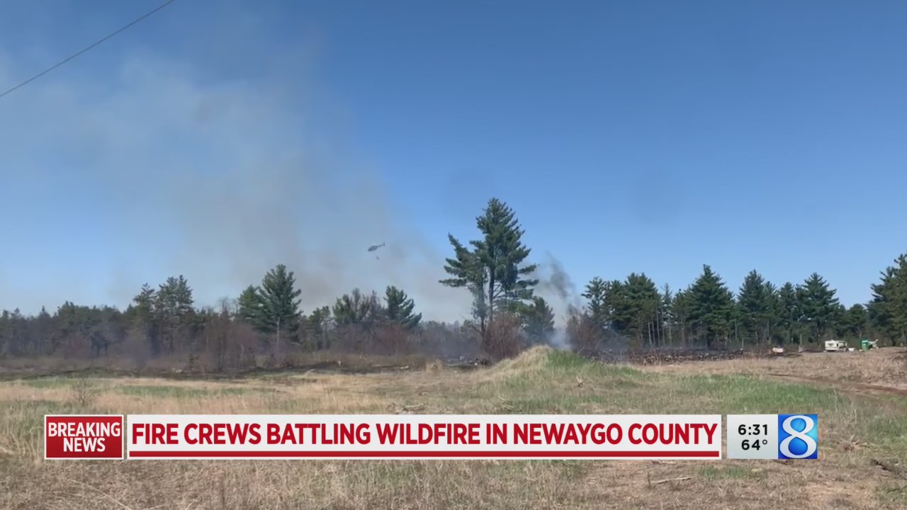 Crews battle wildfire near White Cloud – WOODTV.com