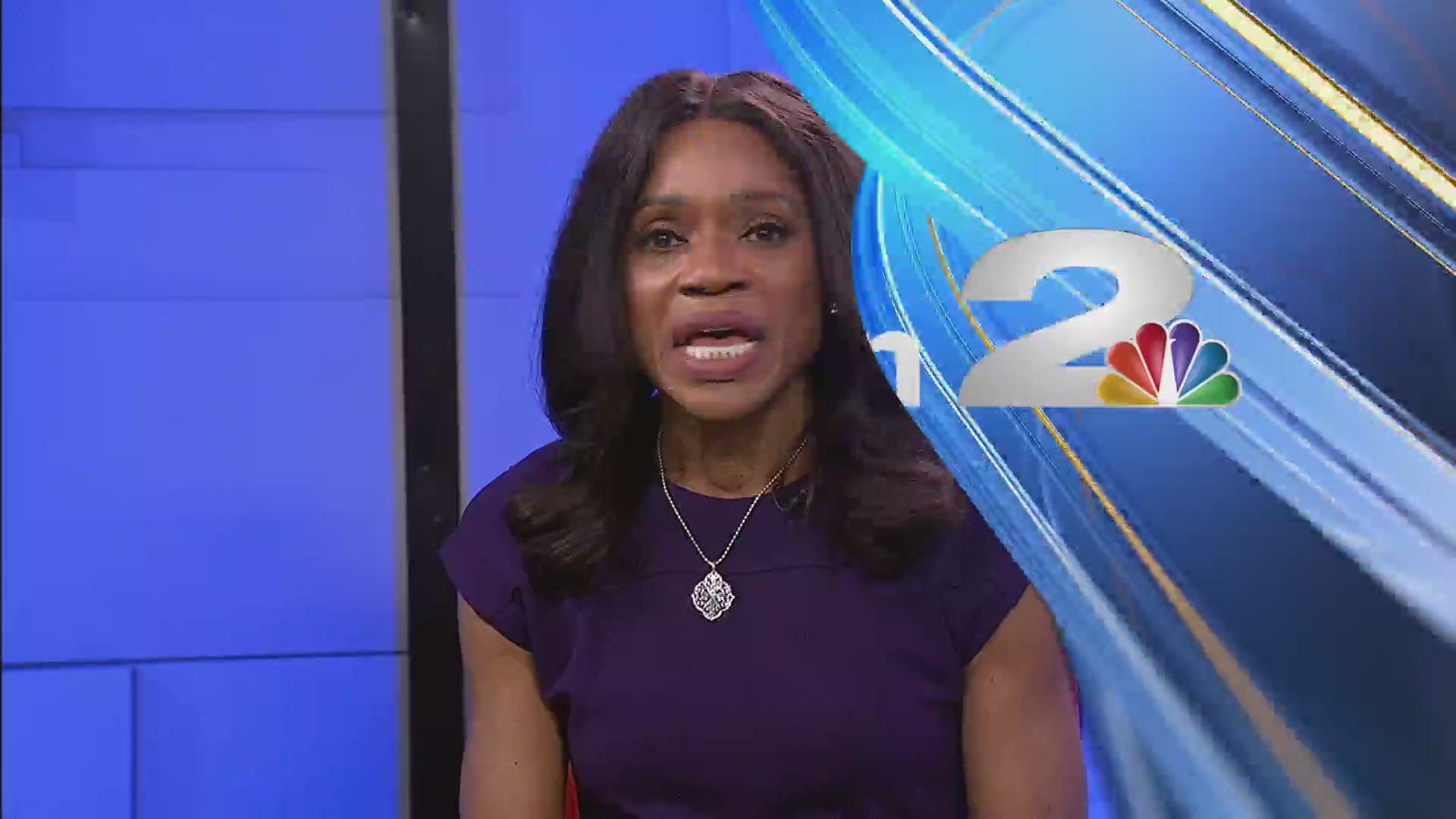 Potential new IOP marina operator meets with residents – WCBD News 2