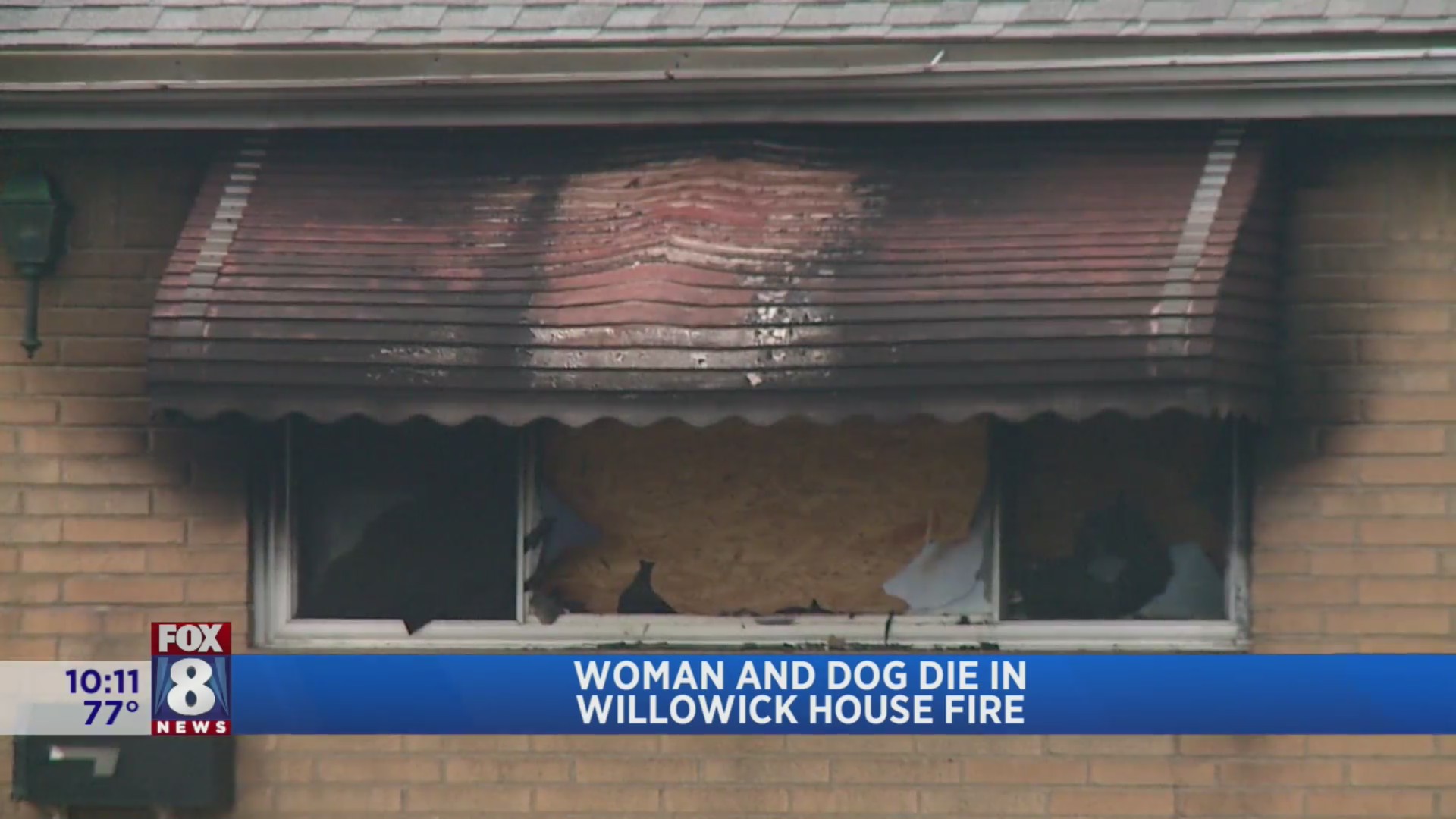 Woman, family dog die in Willowick house fire – Fox 8 Cleveland WJW