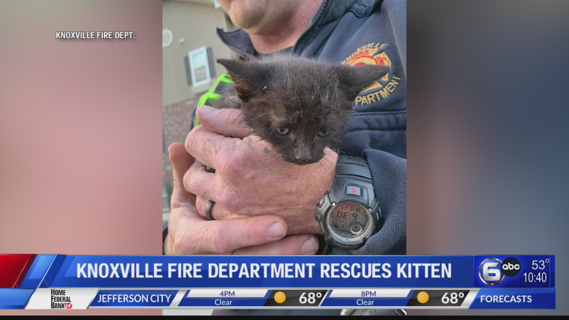 Knoxville Fire Department rescues kitten – WATE 6 On Your Side