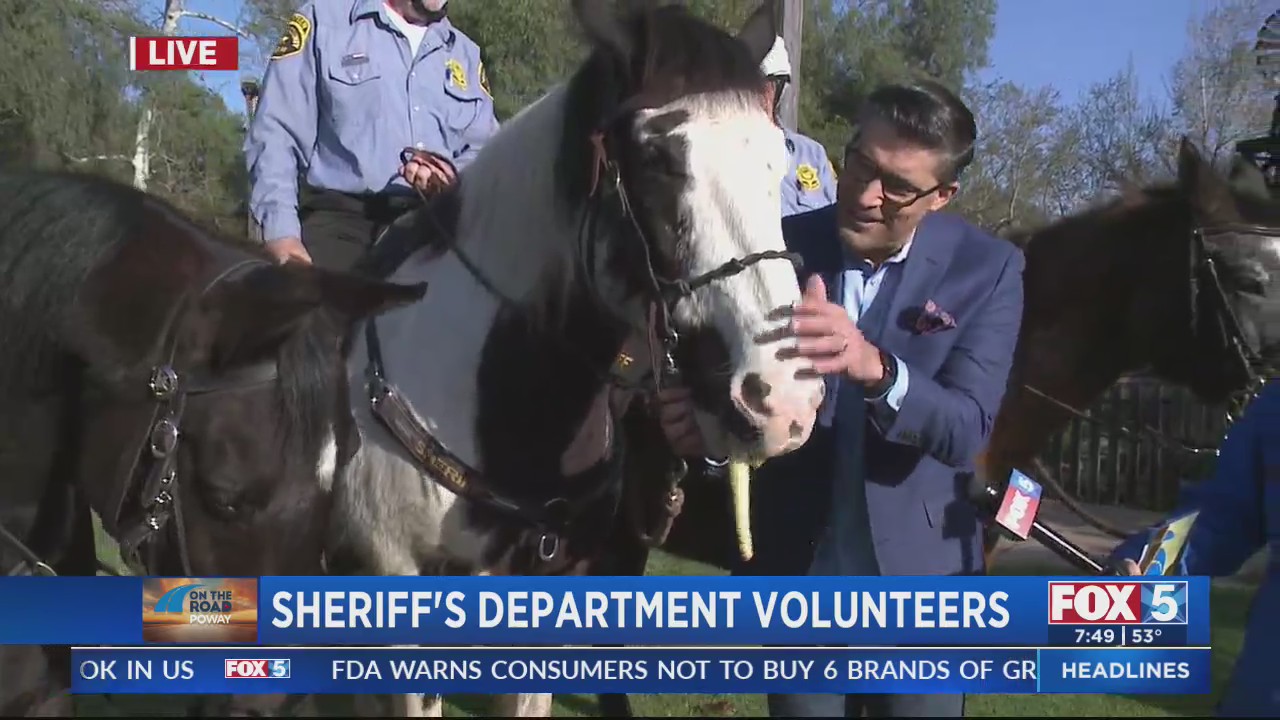 Poway Sheriff’s Department Volunteers and Mounted Unit – FOX 5 San ...