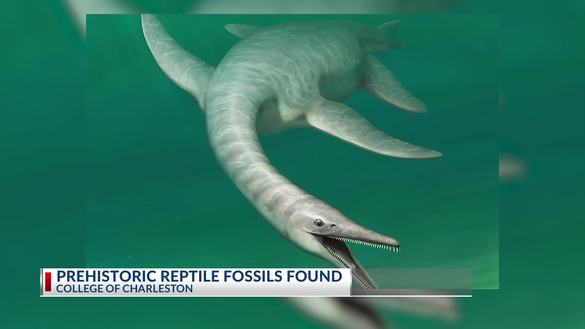 Lowcountry scientists unveil the name of a Prehistoric reptile – WCBD ...