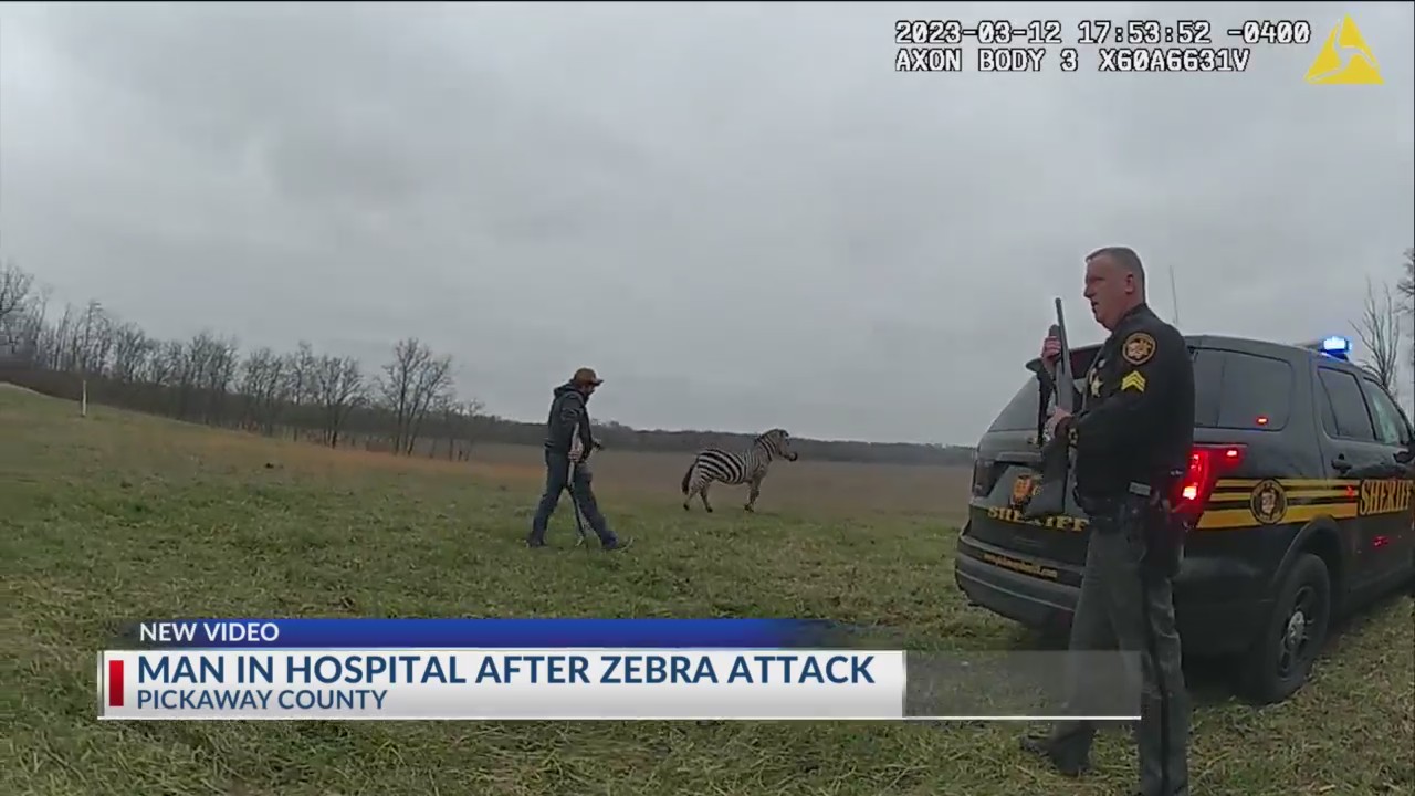 Ohio man’s arm severely bitten by zebra – NBC4 WCMH-TV