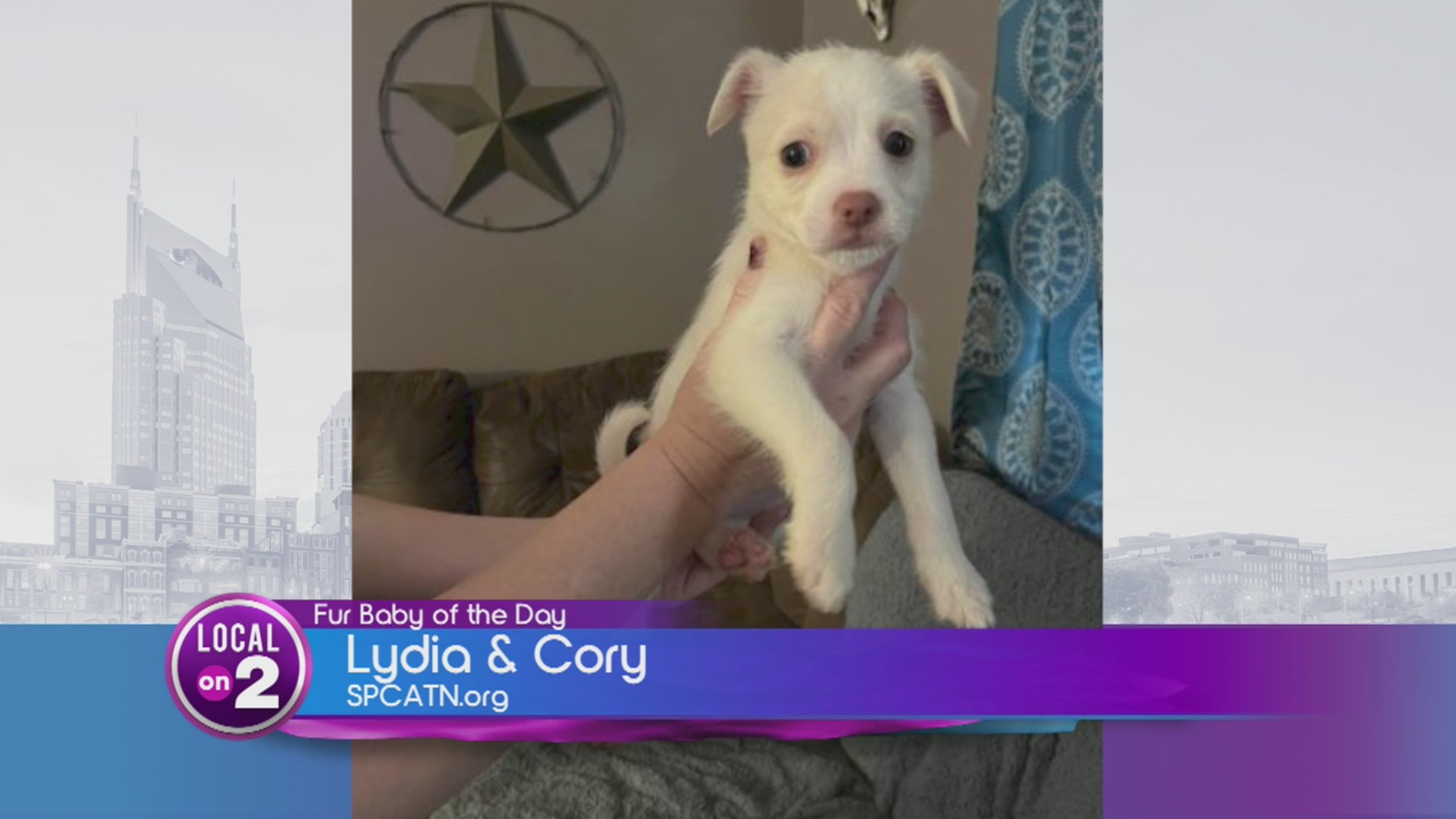 Fur babies of the day: Lydia & Cory! – WKRN News 2