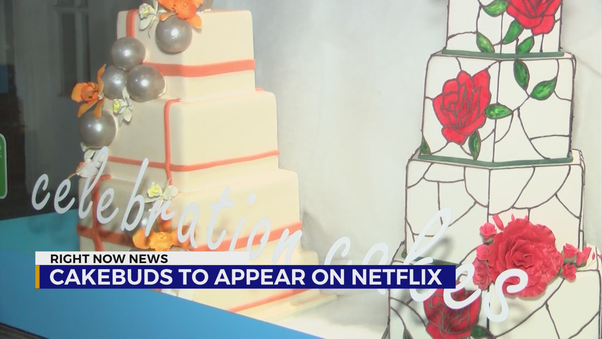Cakebuds Bakery to appear on “Is It Cake?” Netflix series – WJHL | Tri ...