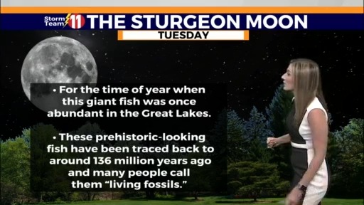 Star Watch – WJHL | Tri-Cities News & Weather