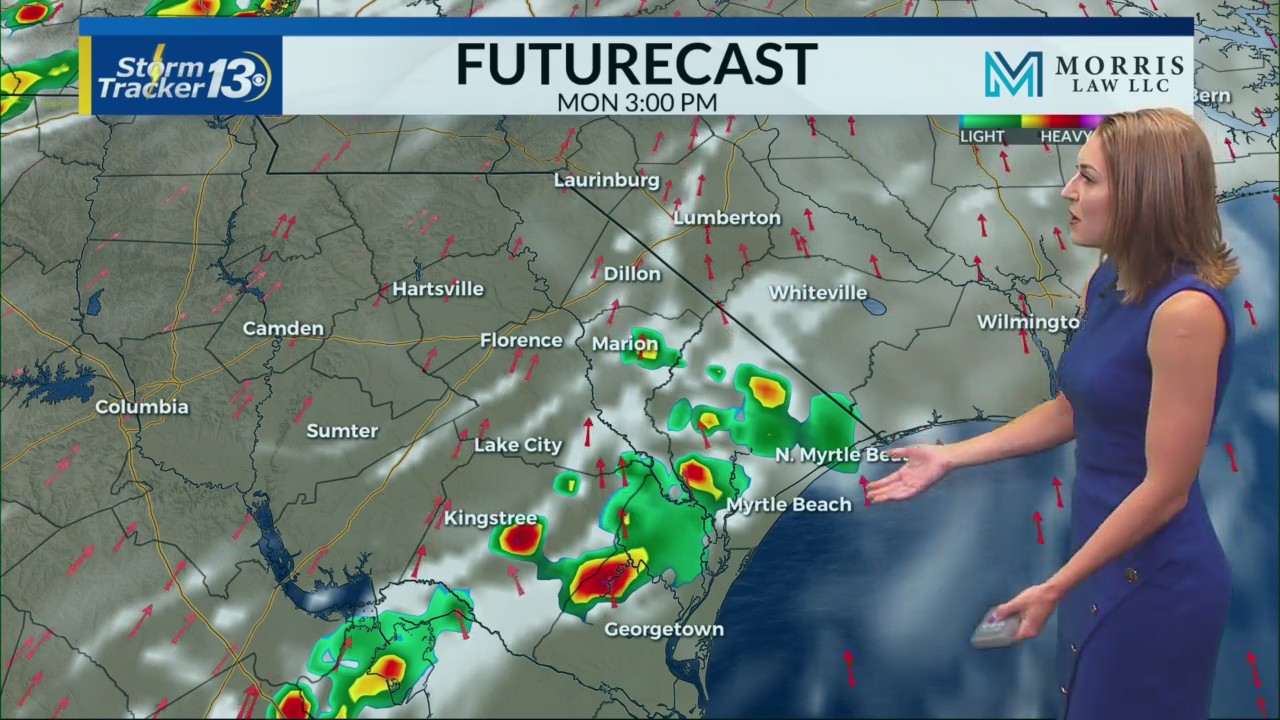 Intense heat on the Fourth of July – WBTW