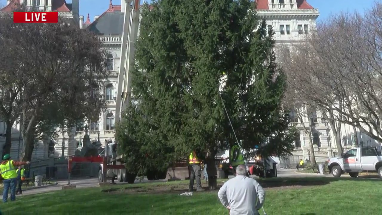 LIVE: Serio family Christmas Tree arrives at East Capital Park – NEWS10 ABC