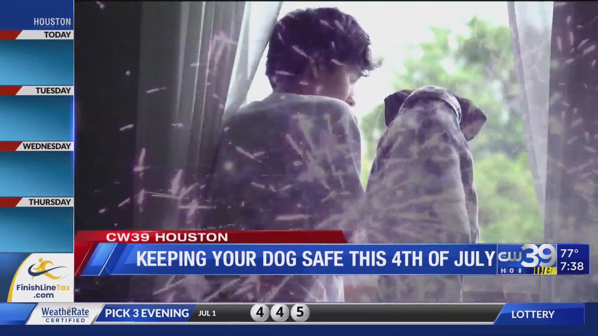 Pet expert highlights noise aversion syndrome during the 4th of July ...