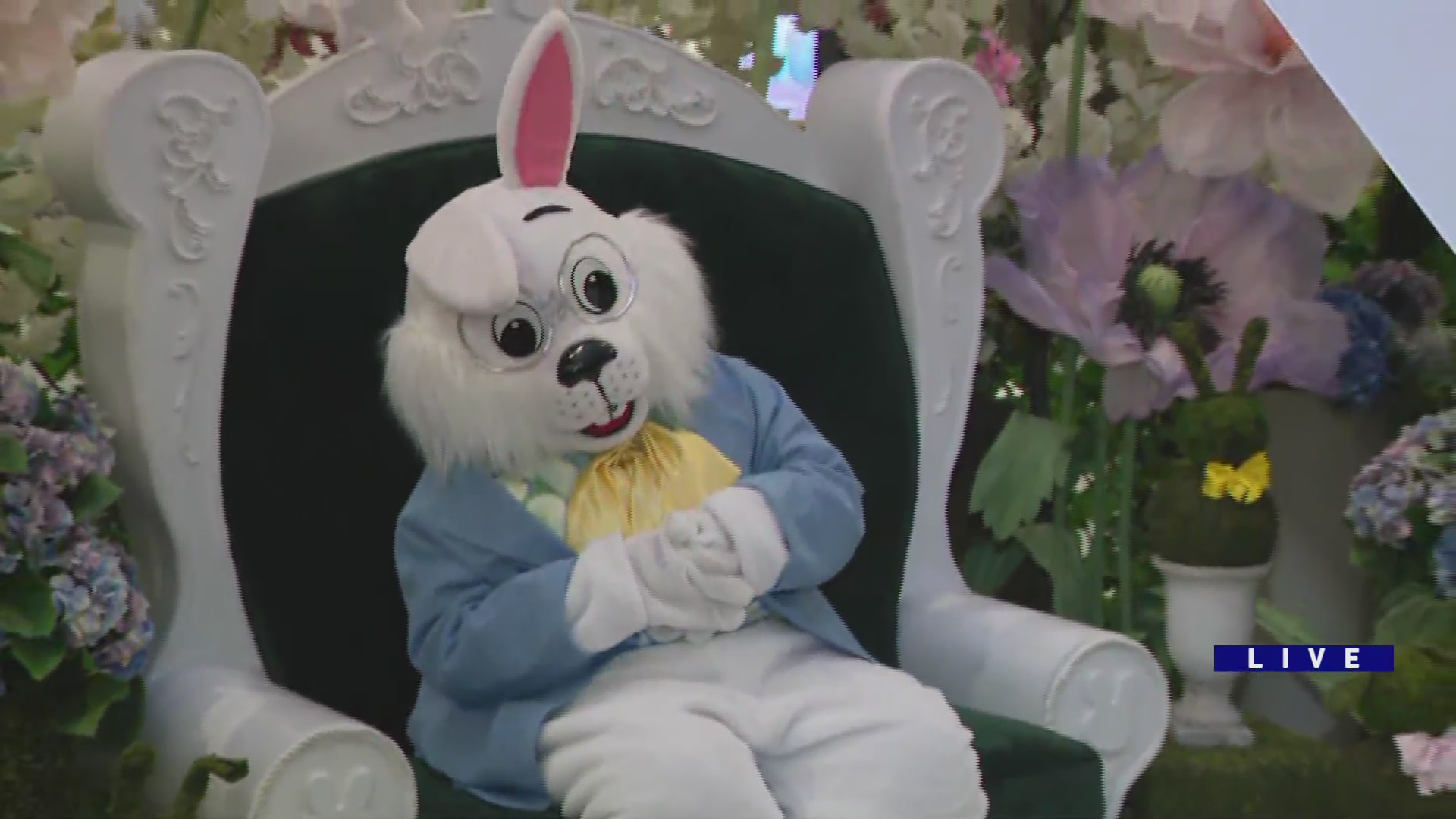 Weekend Break: Springtime Oasis with the Easter Bunny – WGN-TV