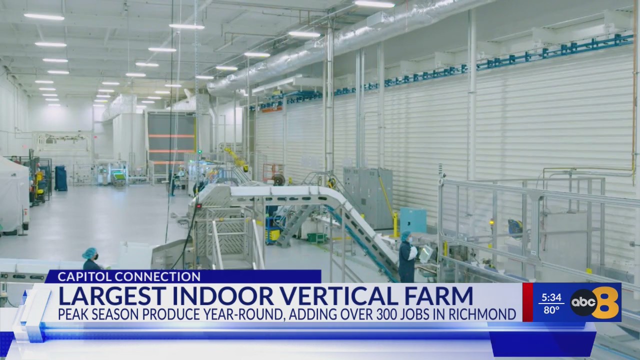 World’s largest indoor vertical farming campus planting roots in ...