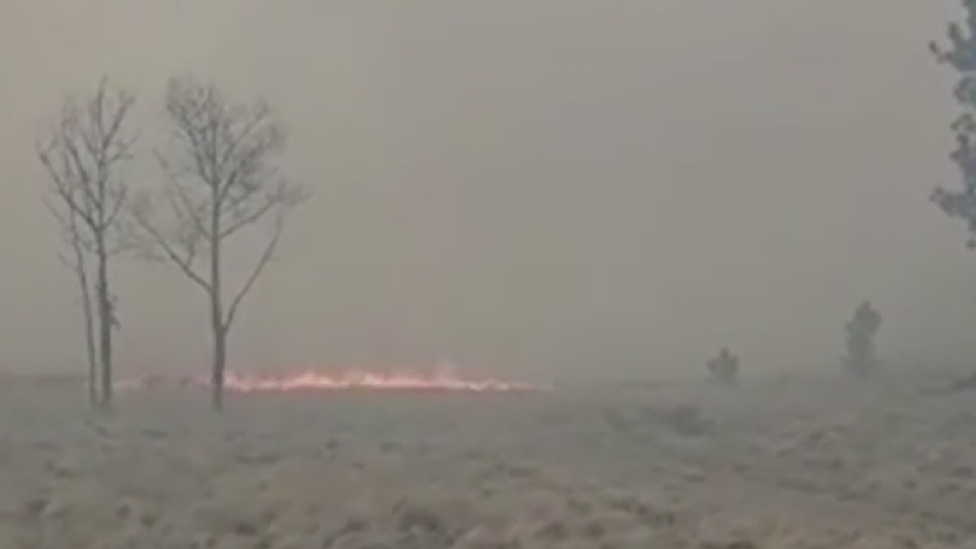 403 Fire burns hundreds of acres – FOX31 Denver