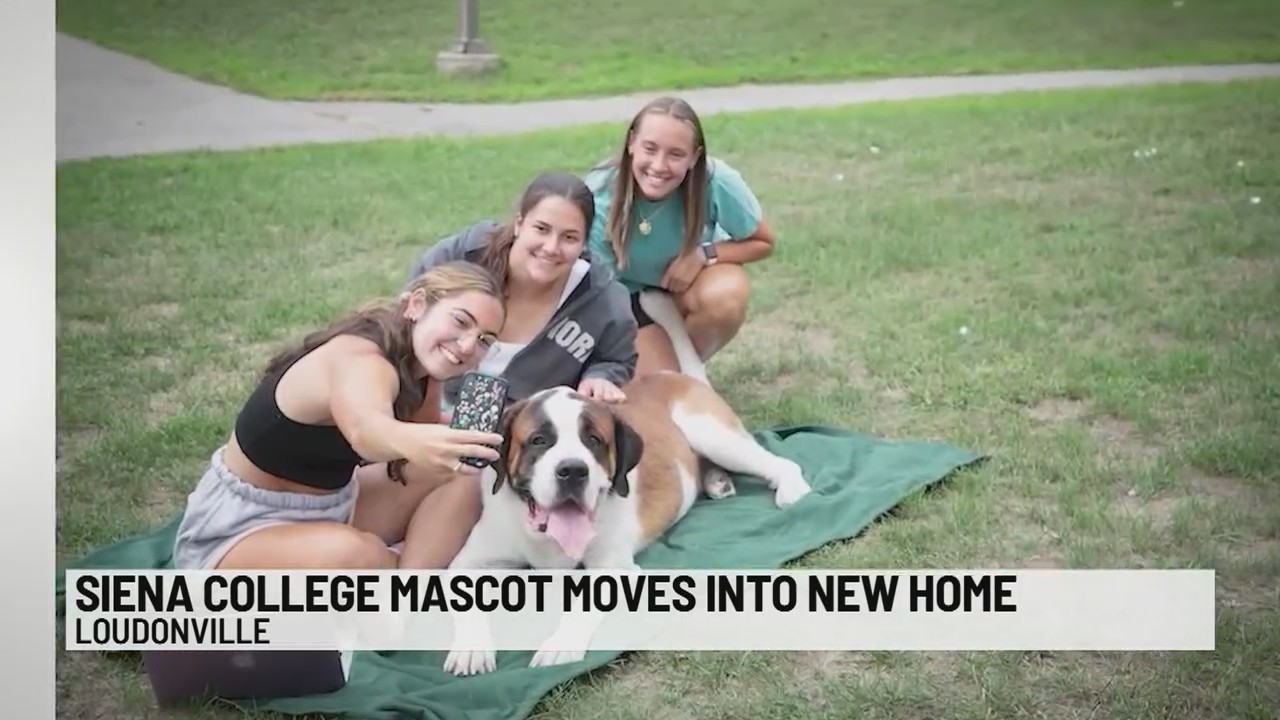Siena College mascot moves into new home – NEWS10 ABC