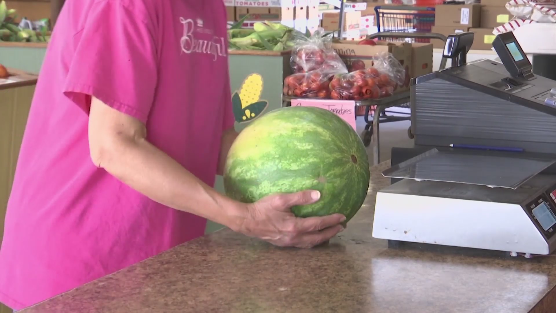 Summer made sweeter with famous Bogue Sound watermelons now out – WNCT