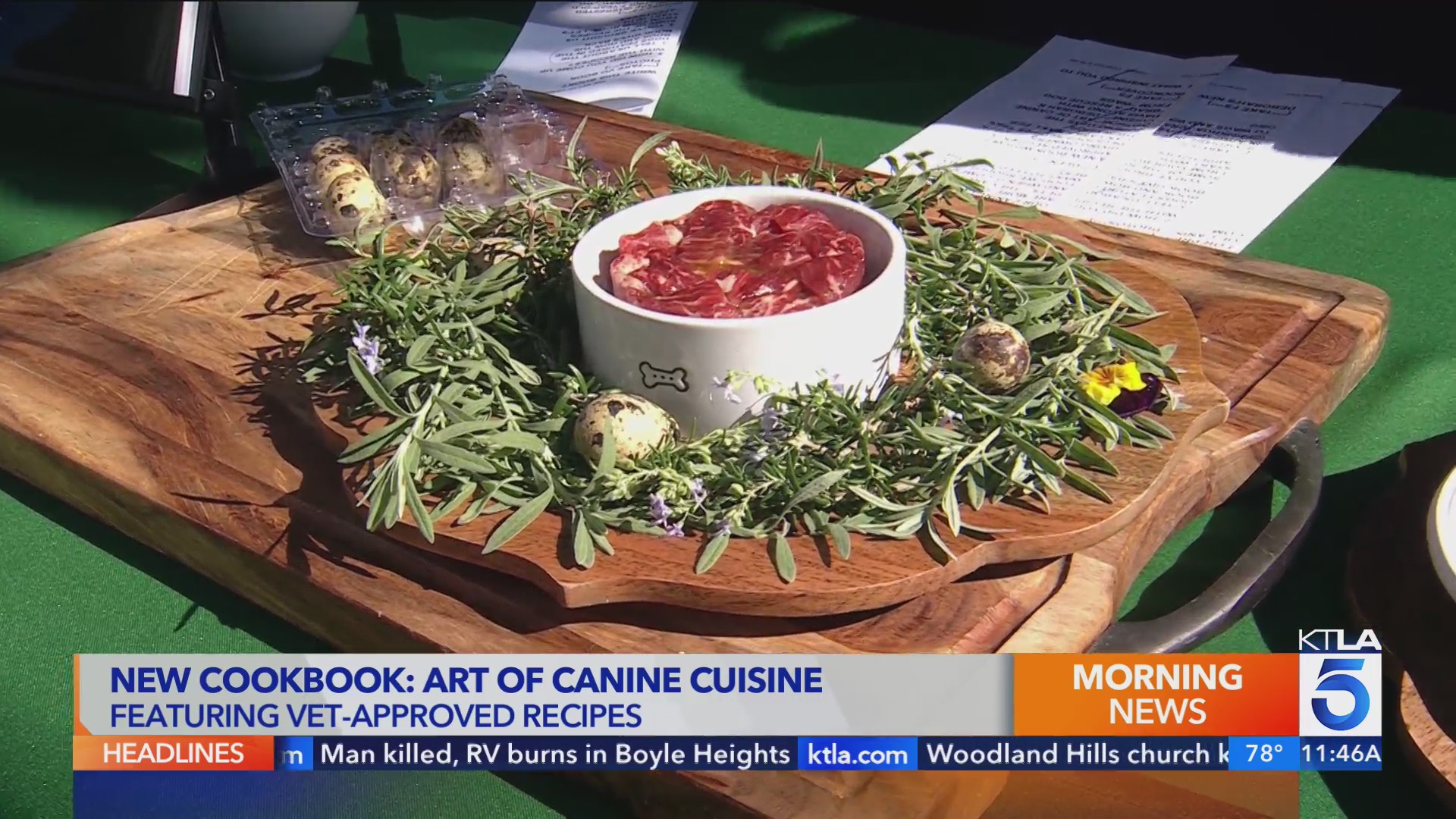 Deborah K. Davis creates pet and vet approved cookbook ‘The Art of ...