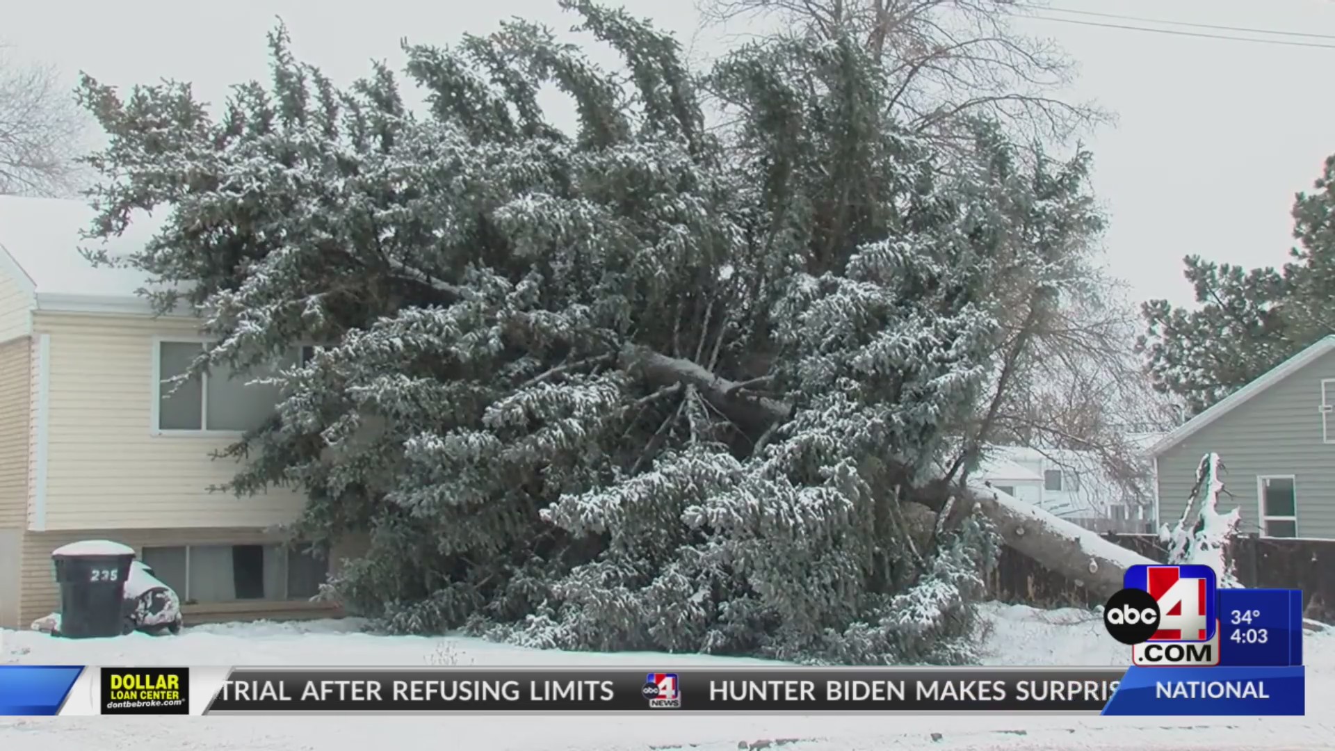 Snow squall pushes 50-year-old tree over onto Brigham City home – ABC4 Utah