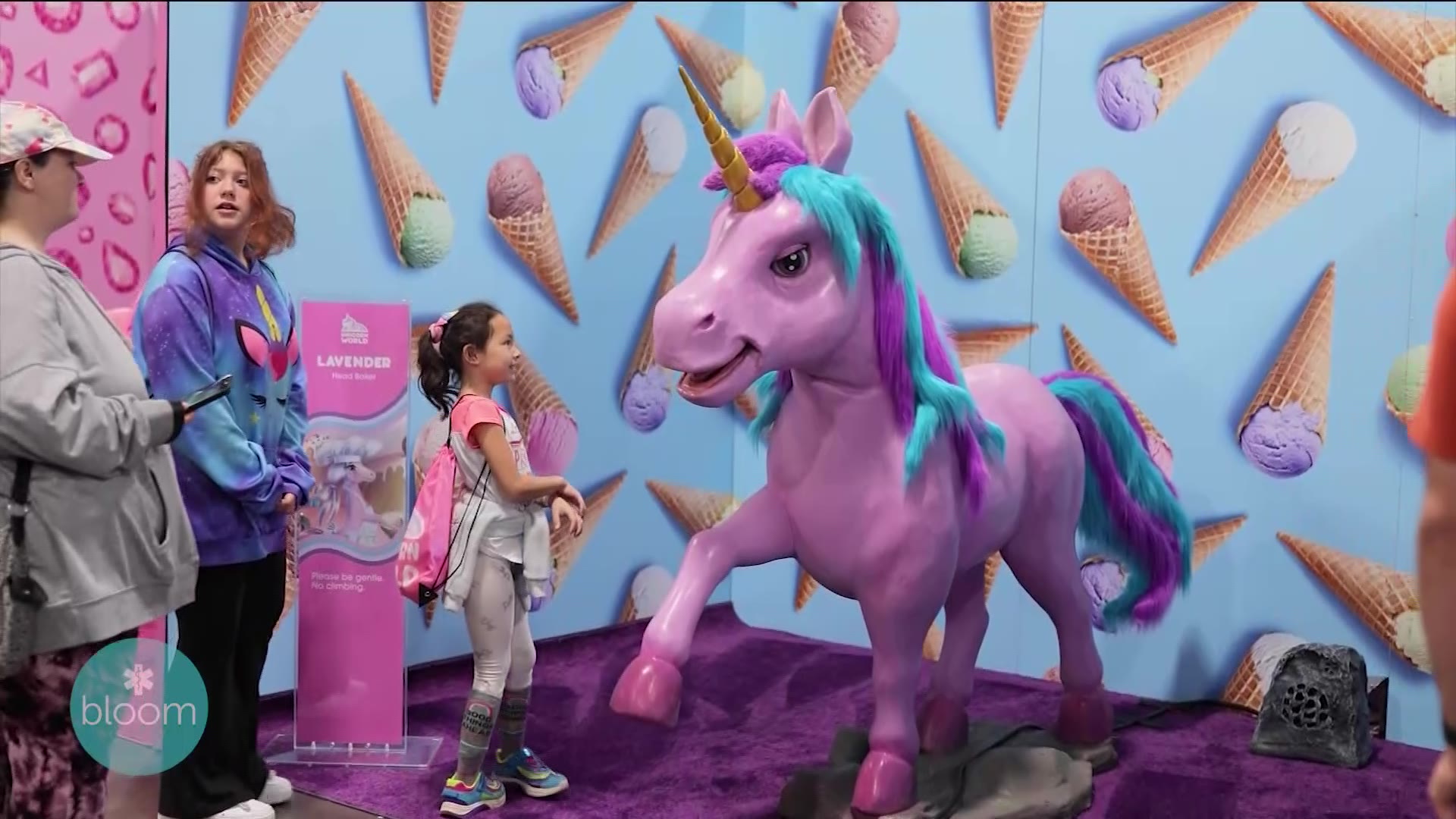 Window to the Weekend: Unicorn world gallops into Tampa – WFLA