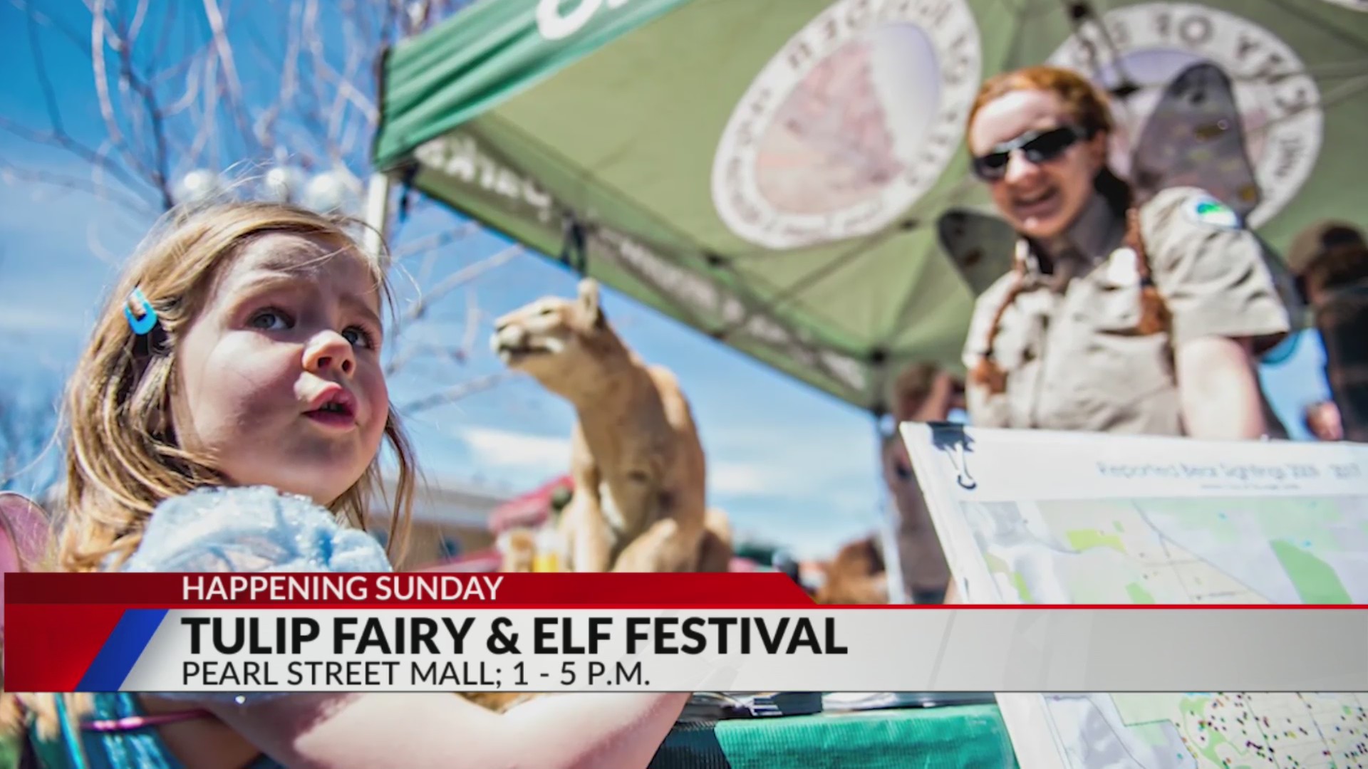 Tulip Fair and Elf Festival in Boulder this weekend – FOX31 Denver