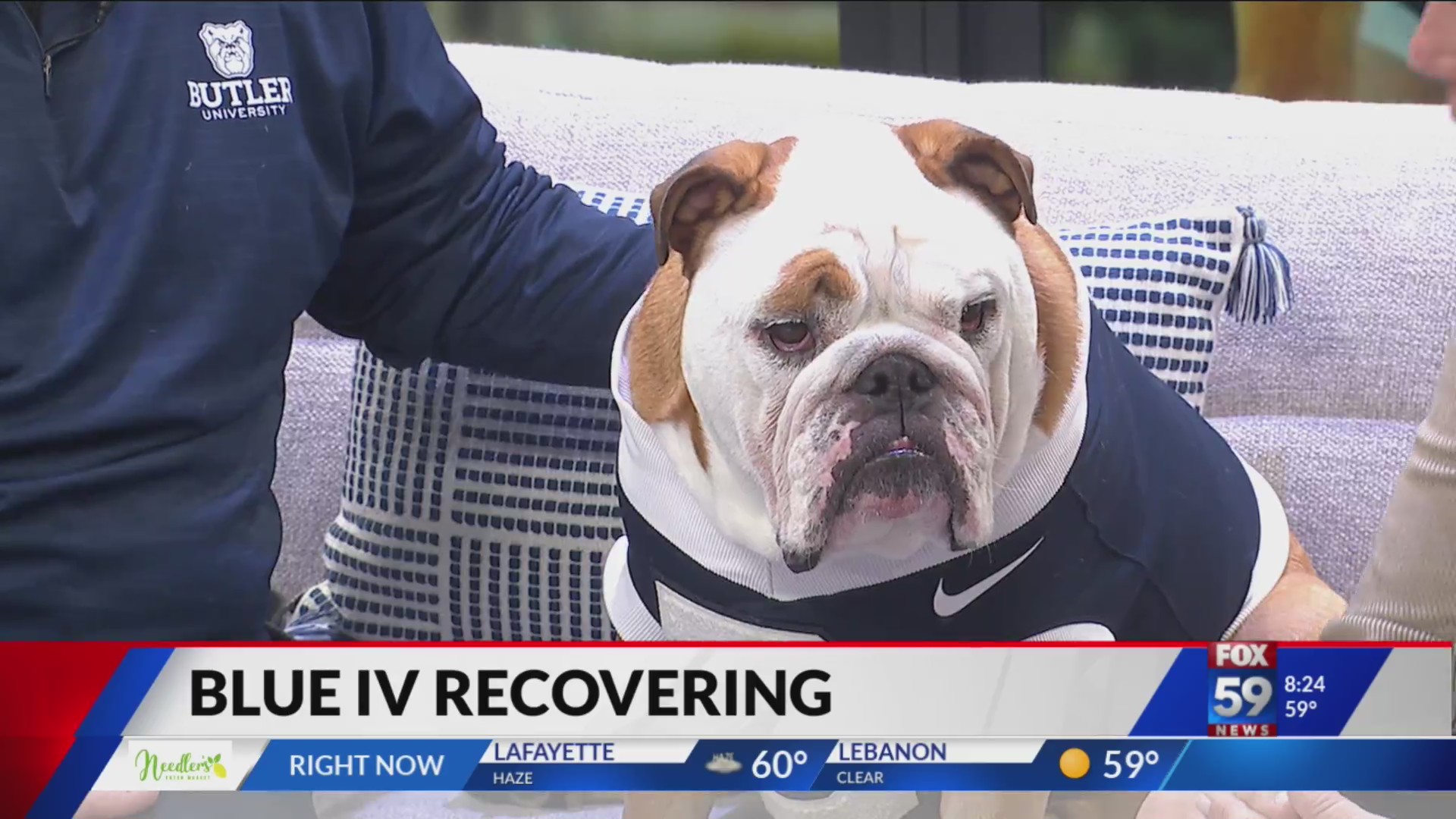 Butler University mascot Blue IV recovering after surgery – Fox 59