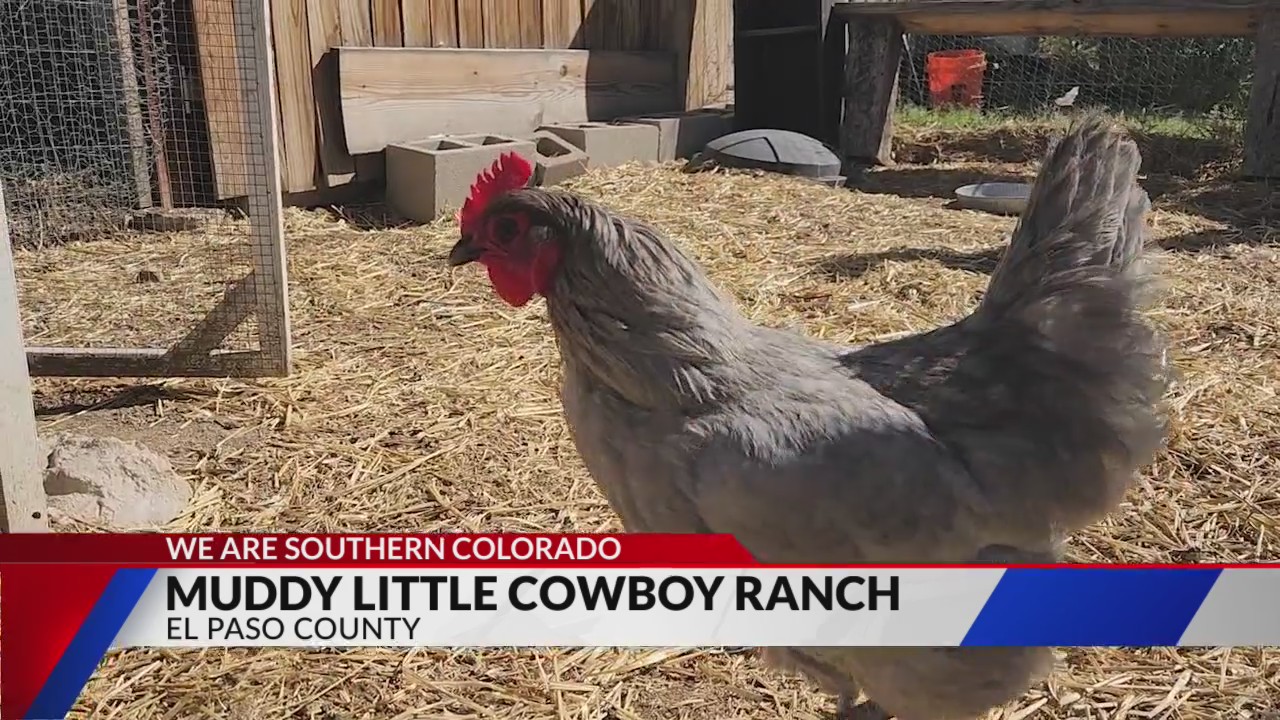 Muddy Little Cowboy Ranch – FOX21 News Colorado