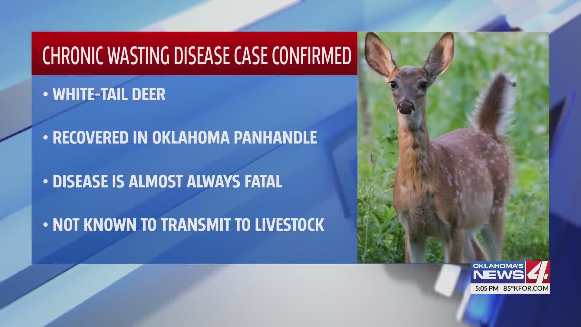 Chronic Wasting Disease case confirmed – KFOR.com Oklahoma City