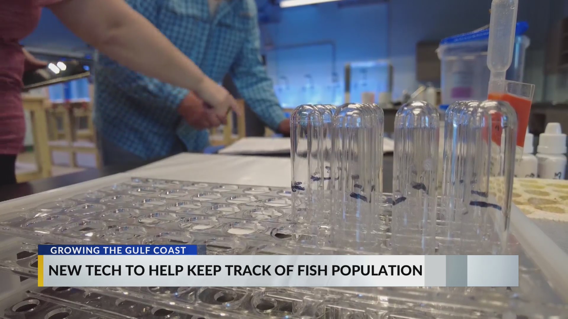 Dauphin Island Sea Lab launches multi-stressor wet lab to study local ...