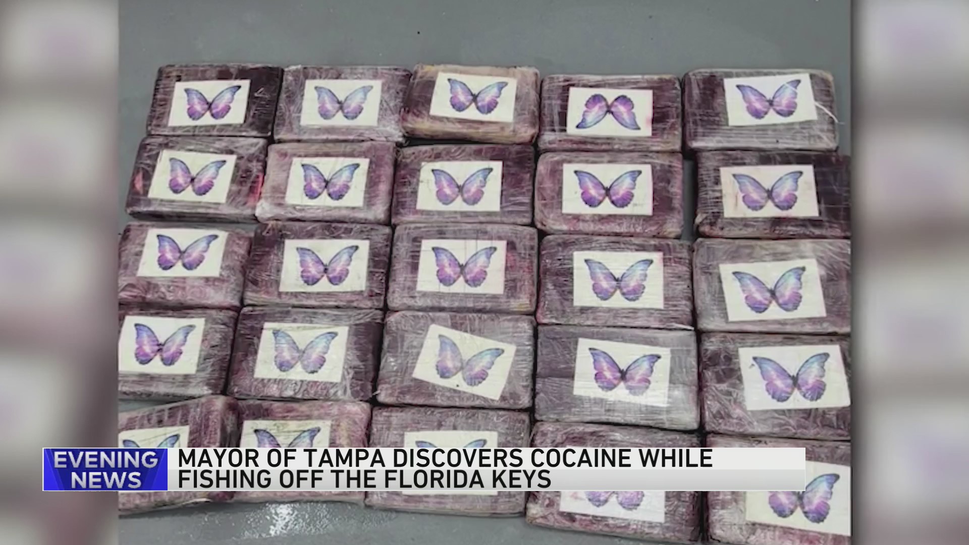 Tampa mayor finds 70 pounds of cocaine during Keys fishing trip – WGN-TV