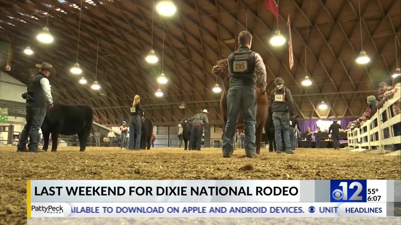 Gipson: People from 48 states attended Dixie National Rodeo – WJTV