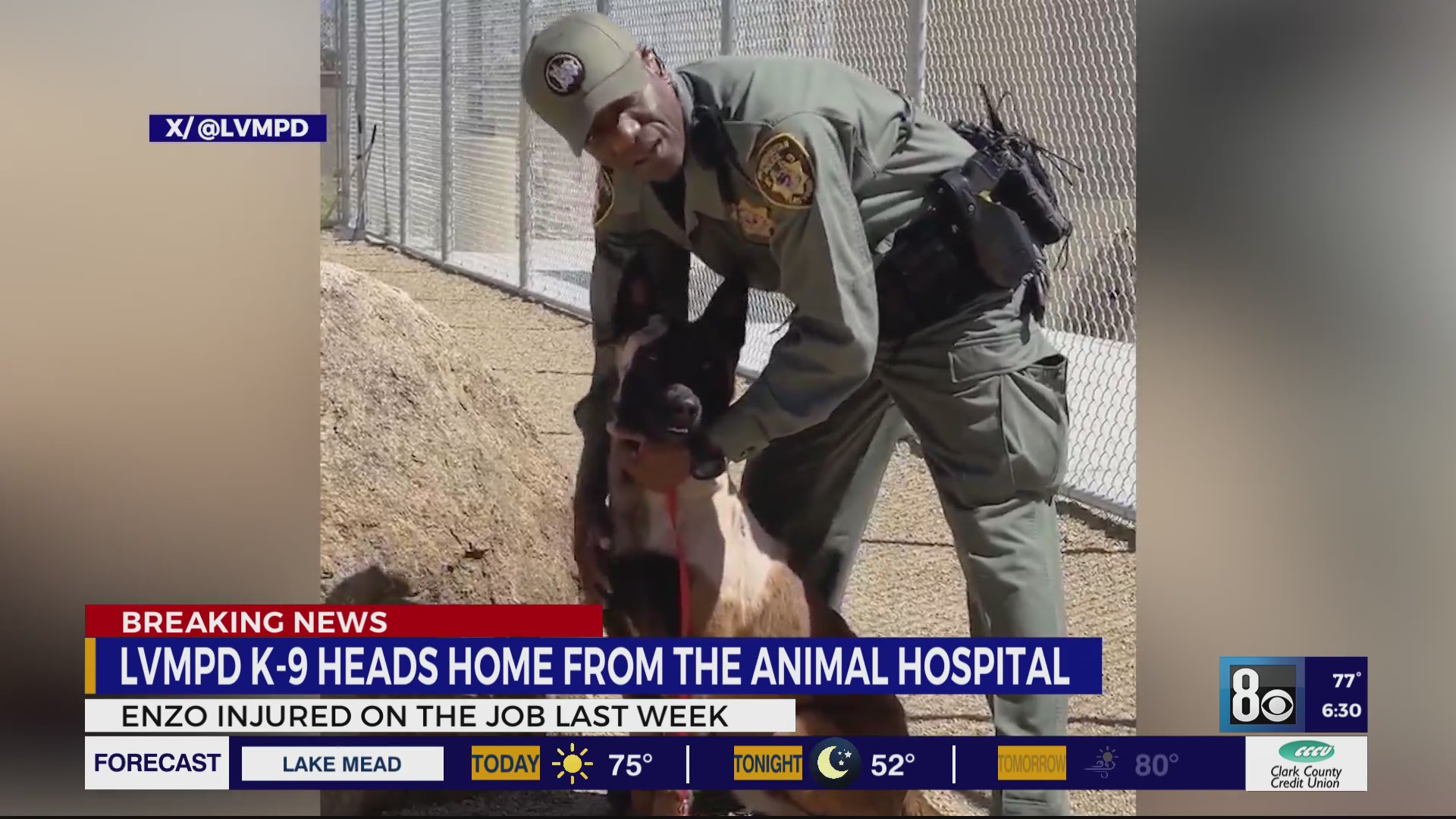 K9 Enzo heads home days after stabbing in downtown Las Vegas – KLAS