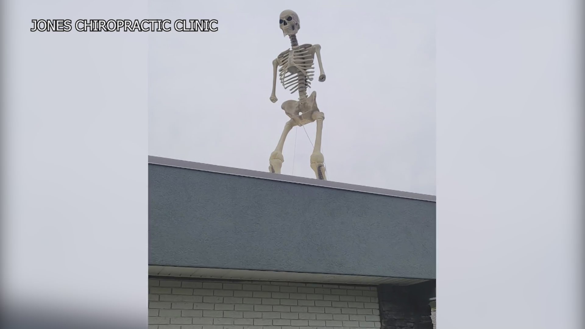 Local business offering reward after massive skeleton on rooftop ...